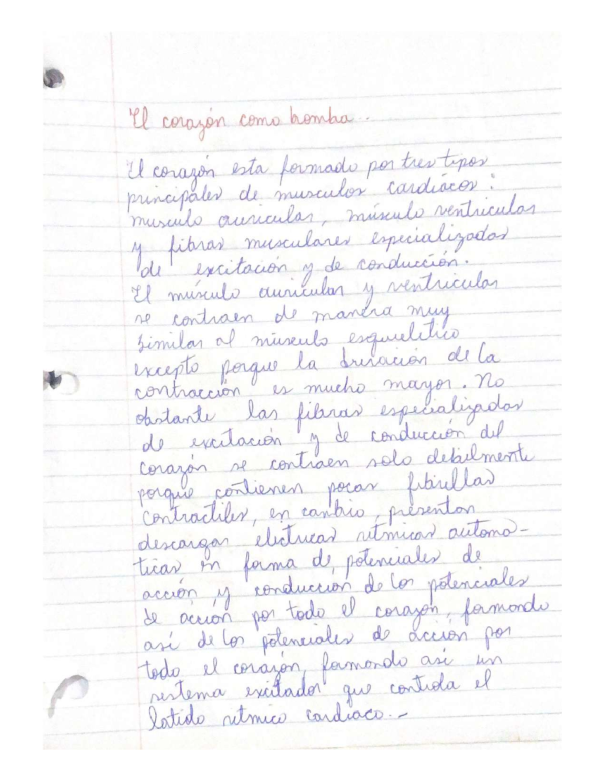 Corazon Como Bomba - Fisiología Humana I - Studocu