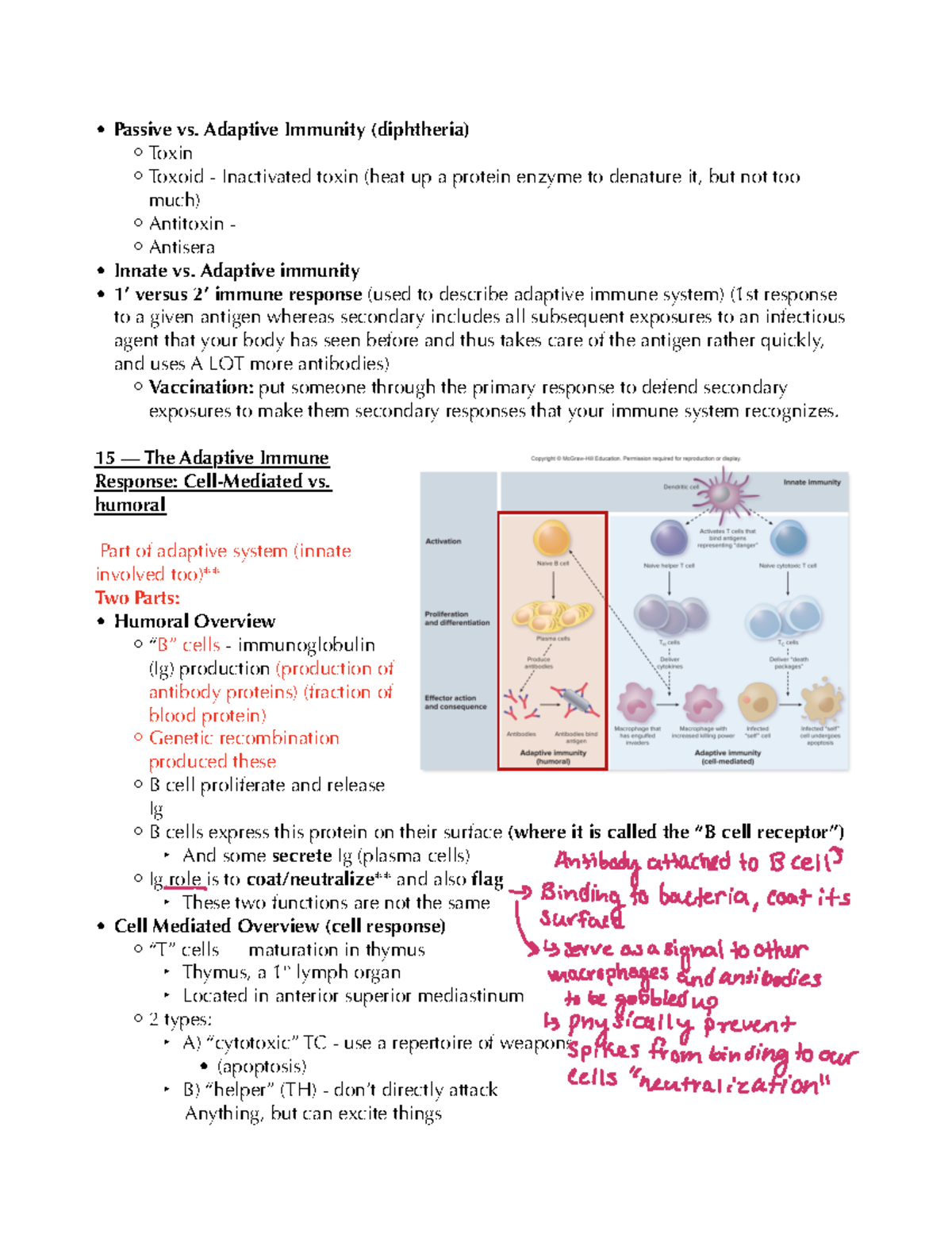 Note Oct 10, 2022 - Microbiology Lecture Notes - Passive vs. Adaptive ...