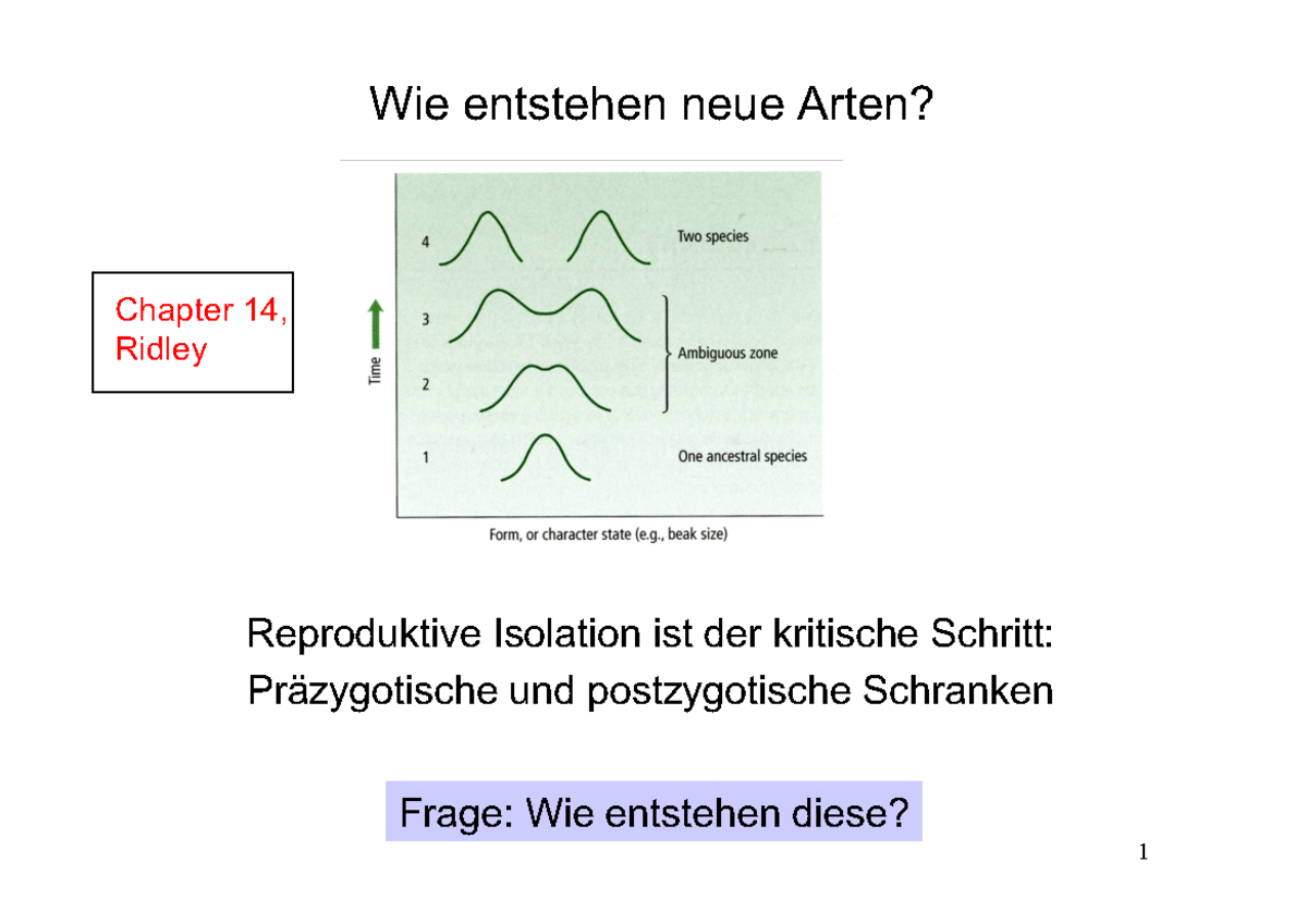 Lecture 11 - Zusammenfassung Evolution und Ökologie - Wie entstehen ...