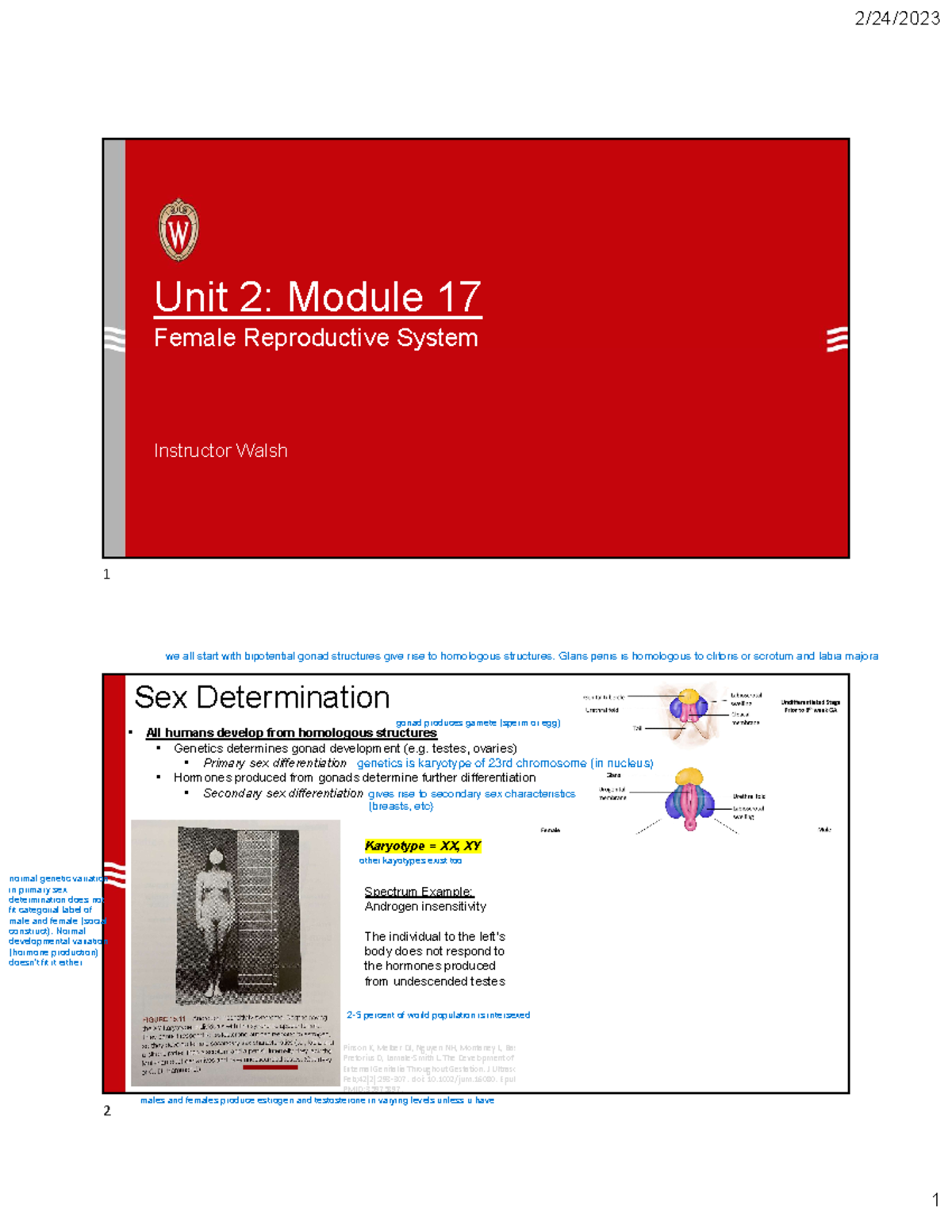 M17 - 2 Slides-1 - Module 17 slides - Unit 2: Module 17 Instructor ...