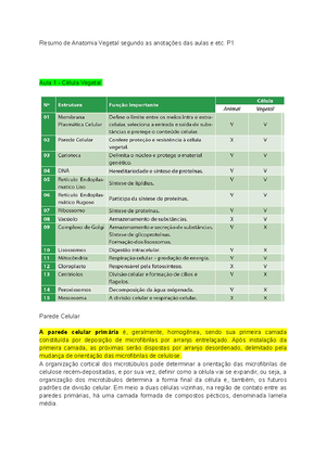 Anatomia Vegetal O Estudo Dirigido 3 - Atividade - P3 Anatomia Vegetal ...