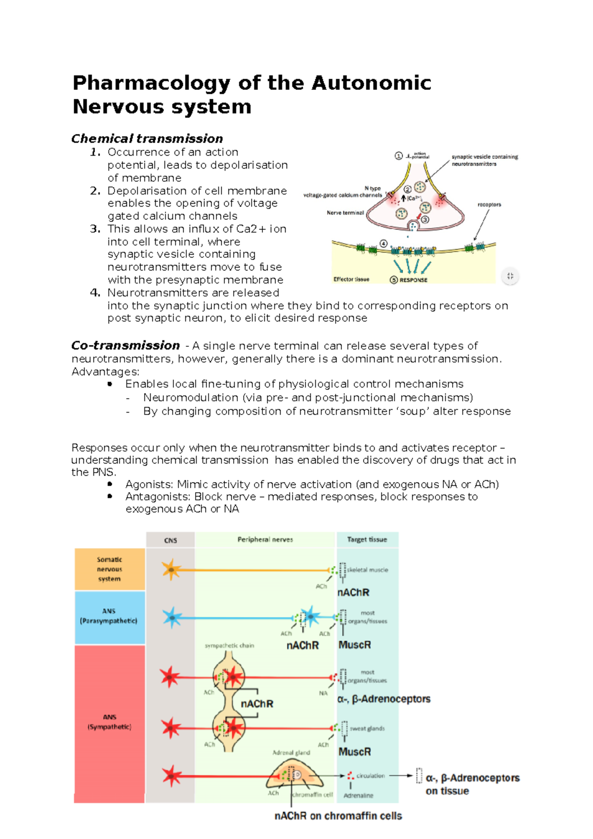 Pharmacology - lecture notes - Pharmacology of the Autonomic Nervous ...