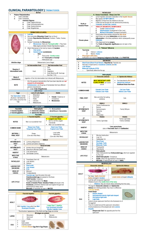 M4 Cestodes - Description of parasites for the diagnosis and ...