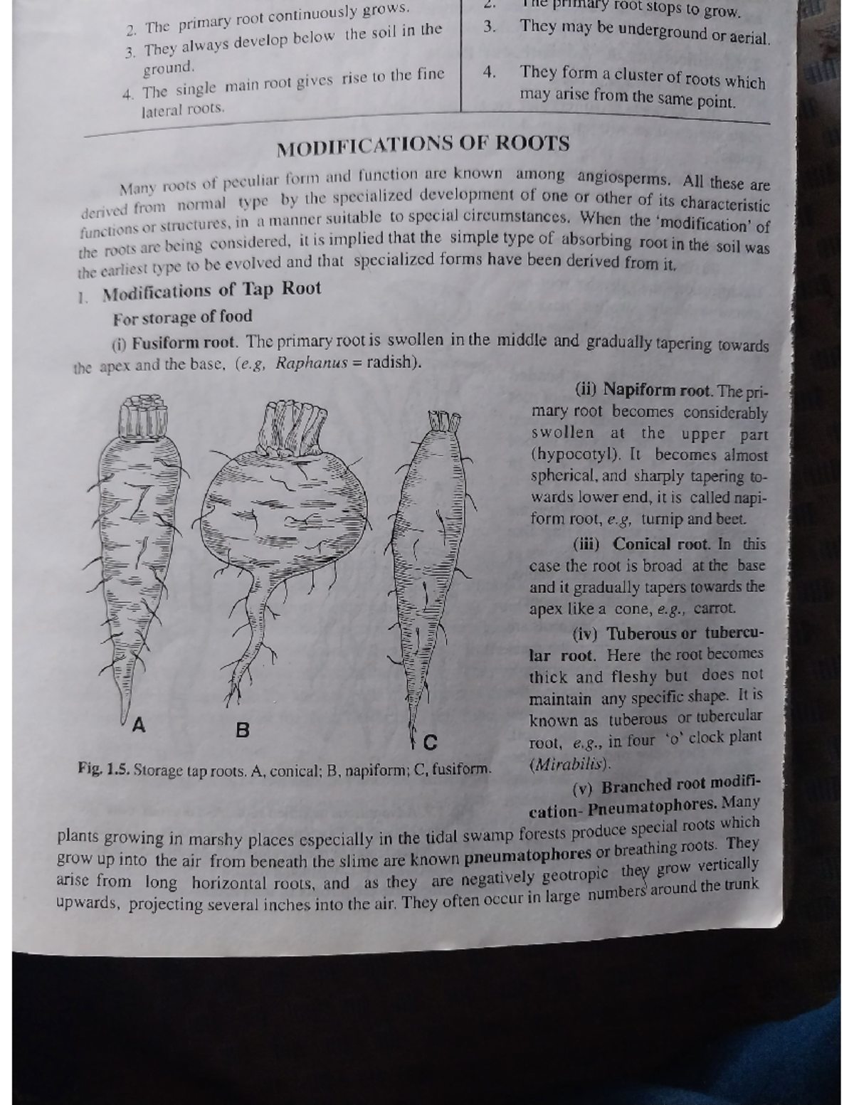 20221114 162244 - Modifications of Roots - Science - Studocu