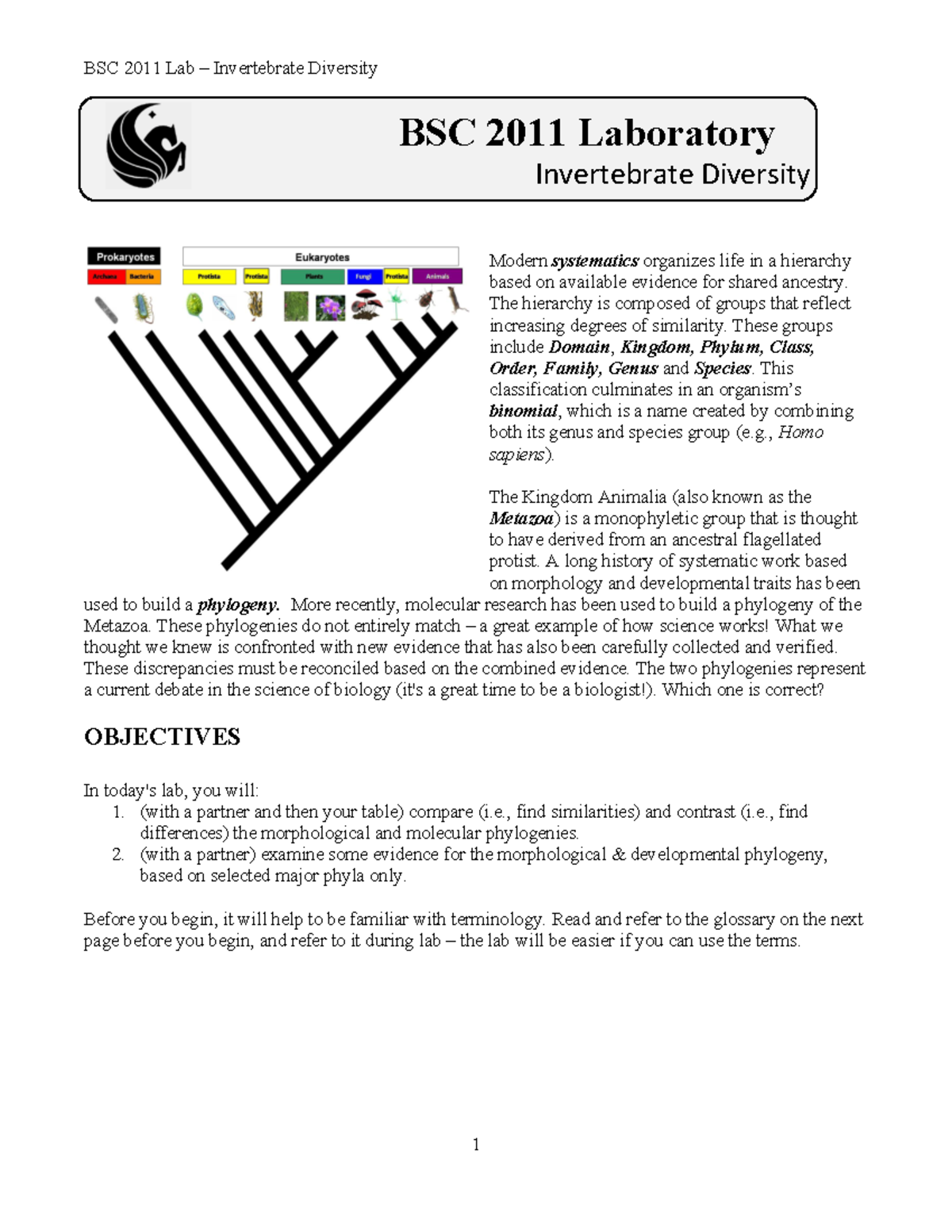 Invertebrate+Diversity+-+Student - BSC 2011 Lab 3 Invertebrate ...