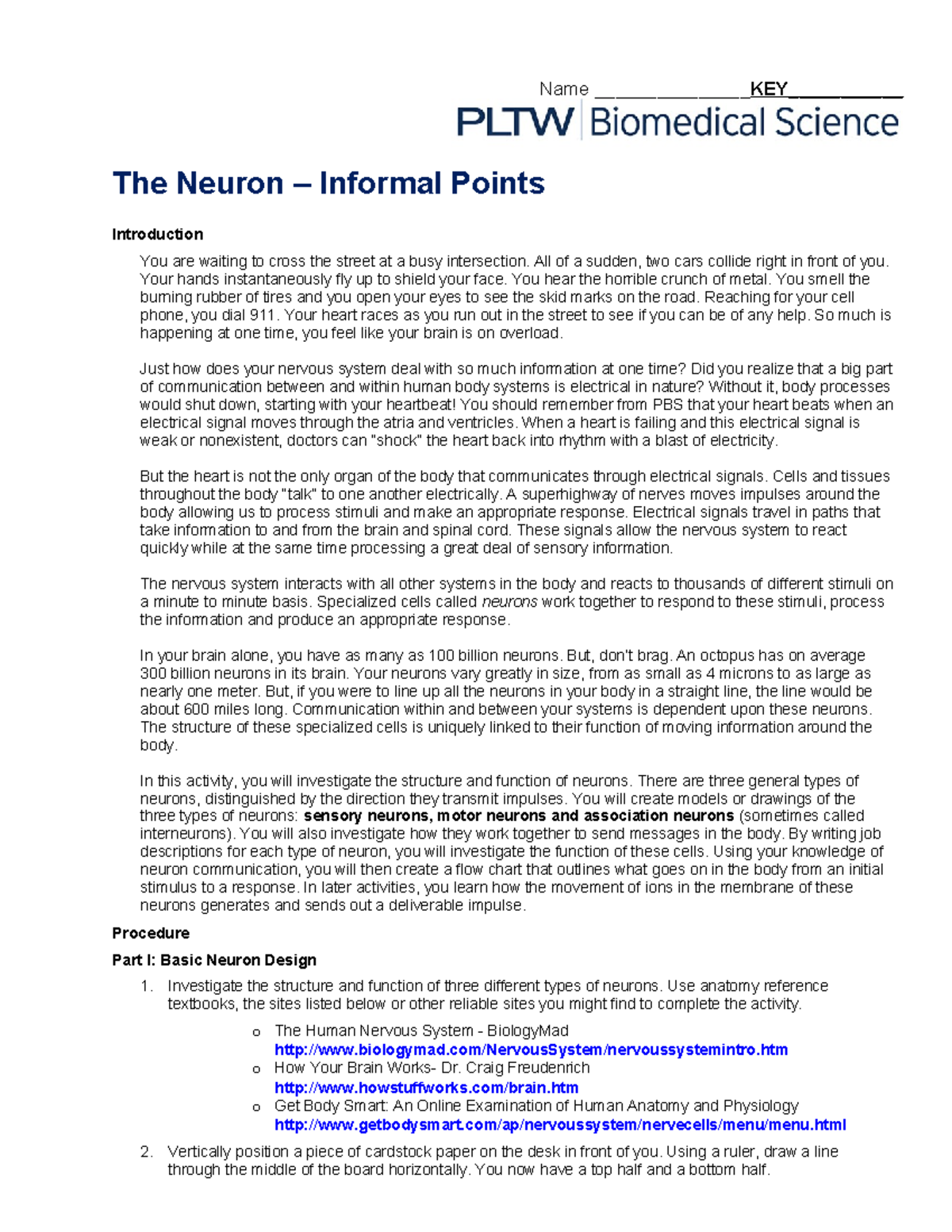 The Neuron KEY - Name ____KEY The Neuron – Informal Points Introduction ...