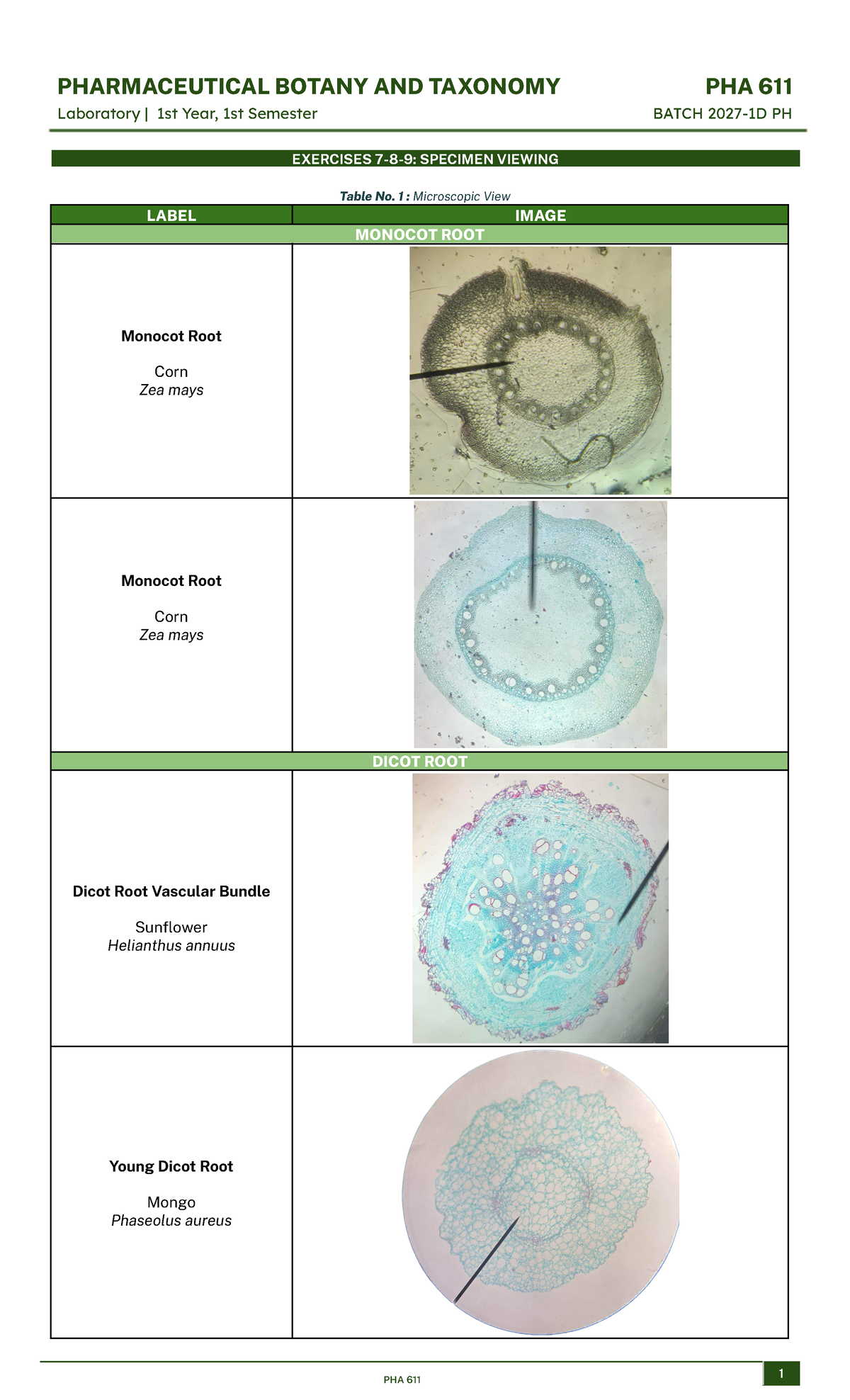 1DPH PHA611LAB Exercises 7-8-9 Specimen Viewing - PHARMACEUTICAL BOTANY ...