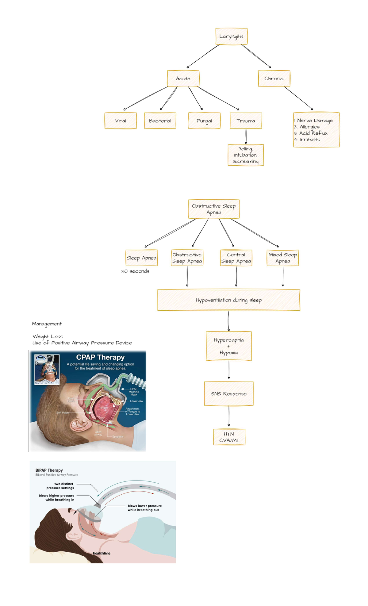 Pathophysiology - Medical Technology - Studocu