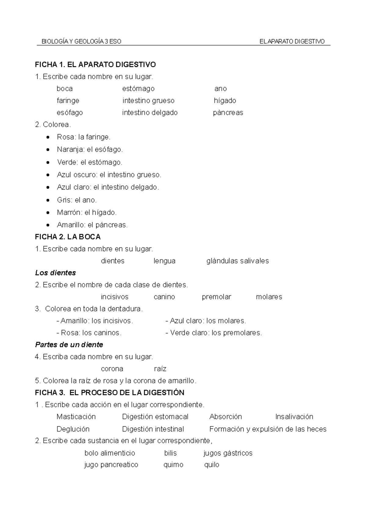 Fichas AP. Digestivo - BIOLOGÍA Y GEOLOGÍA 3 ESO EL APARATO DIGESTIVO ...