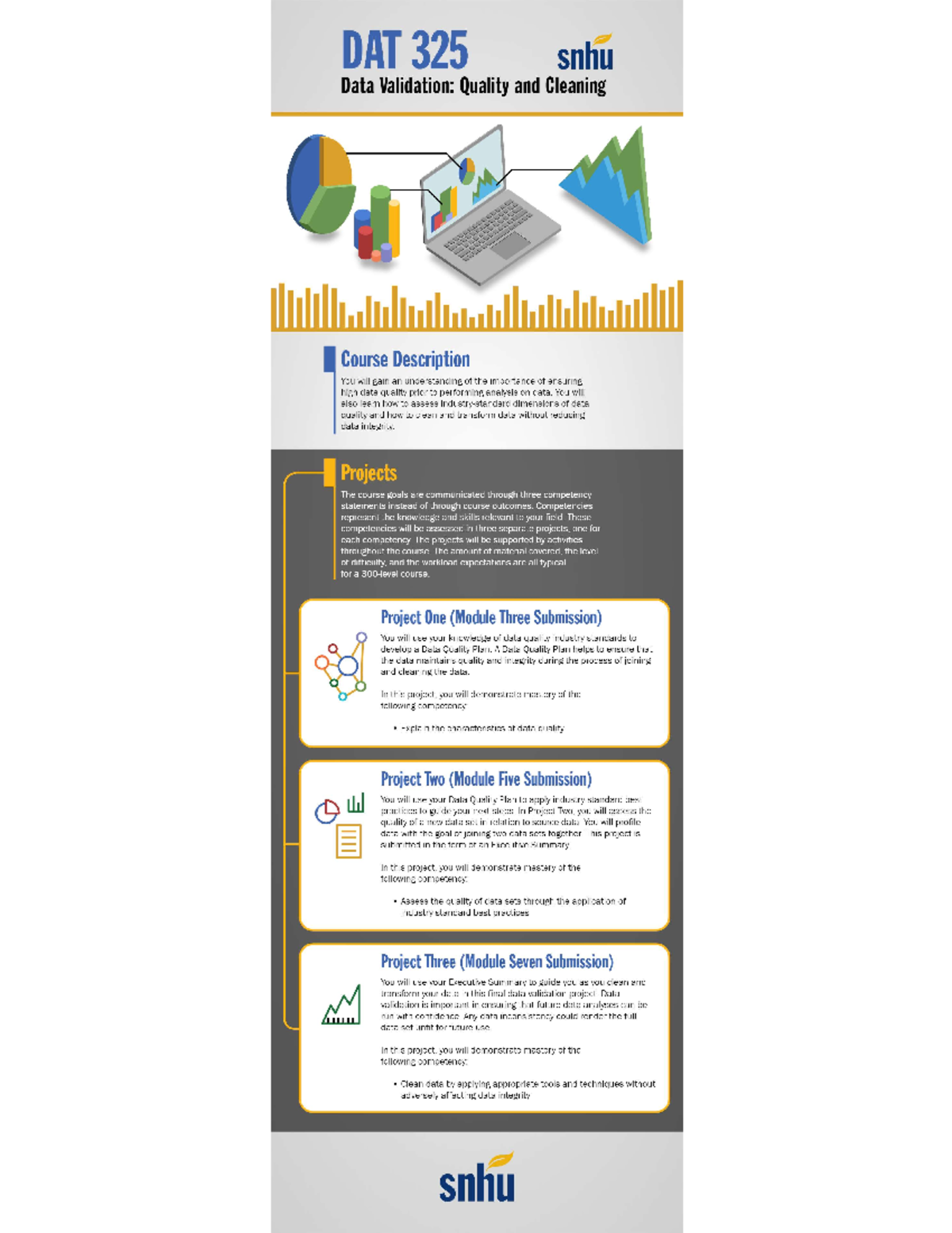 Course Infographic - DAT 325 snhu Data Validation: Quality and Cleaning Course Description You ...