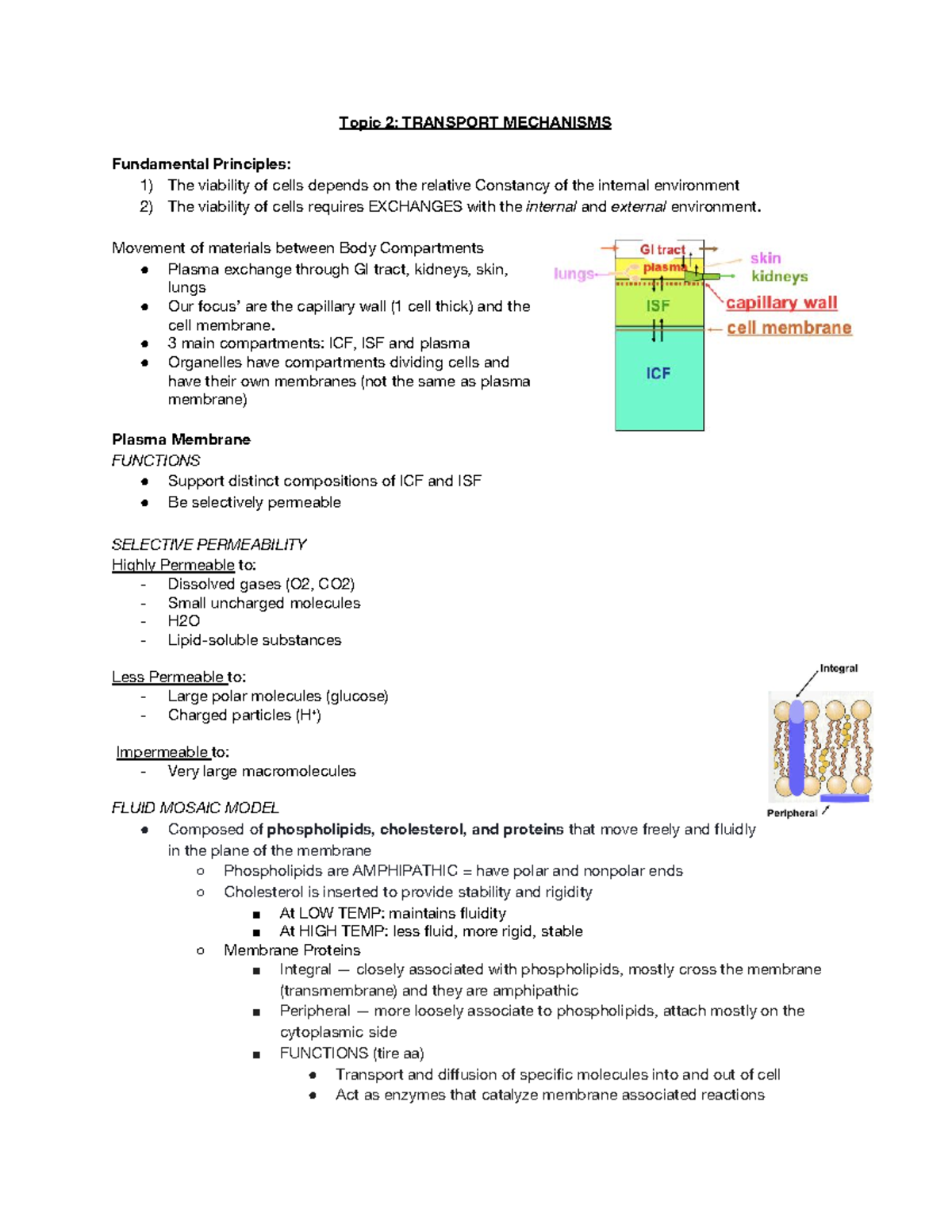 02 Transport Mechanisms - Topic 2: TRANSPORT MECHANISMS Fundamental ...