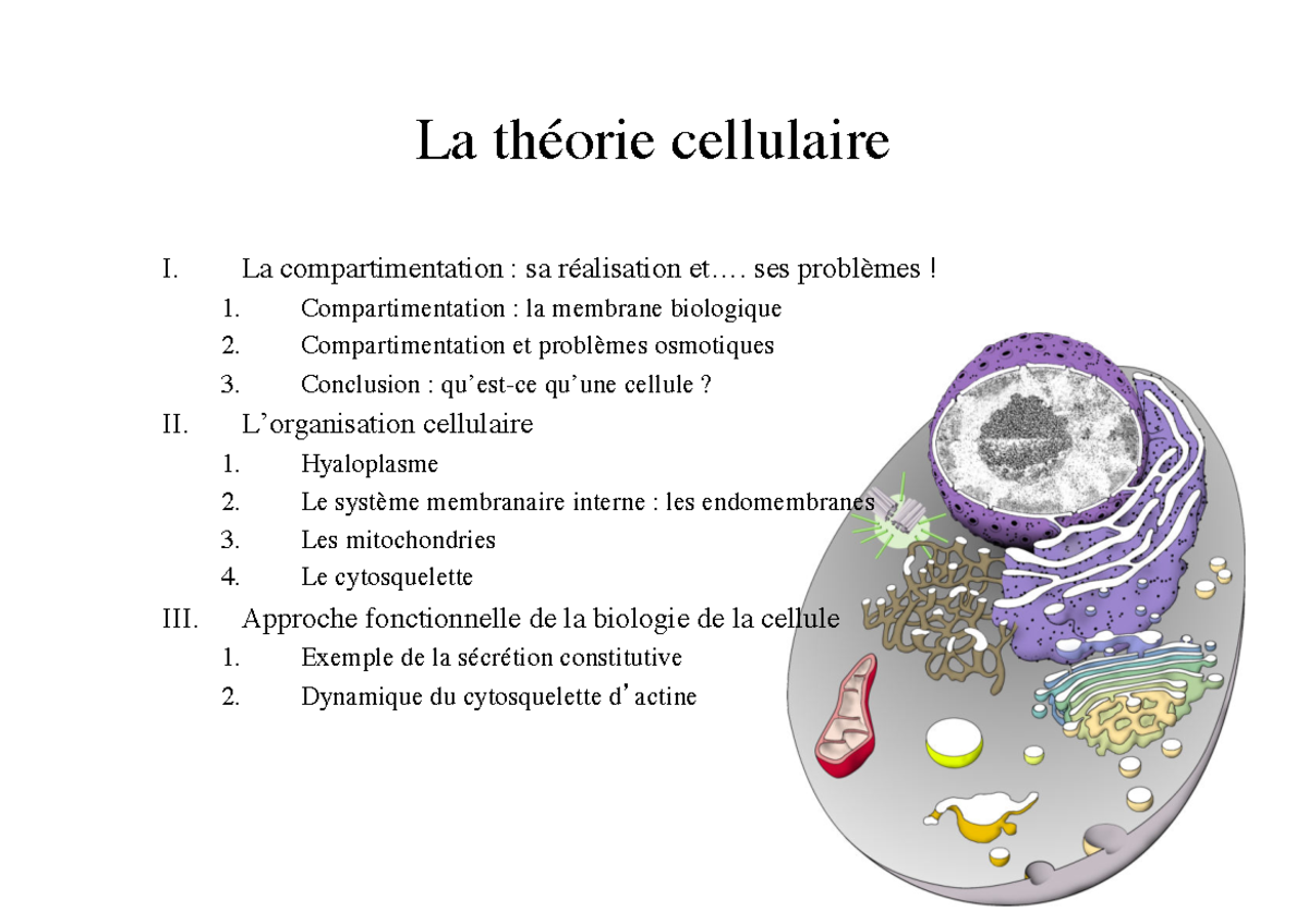Chap 2-III Approche fonctionnelle - La théorie cellulaire I. La ...