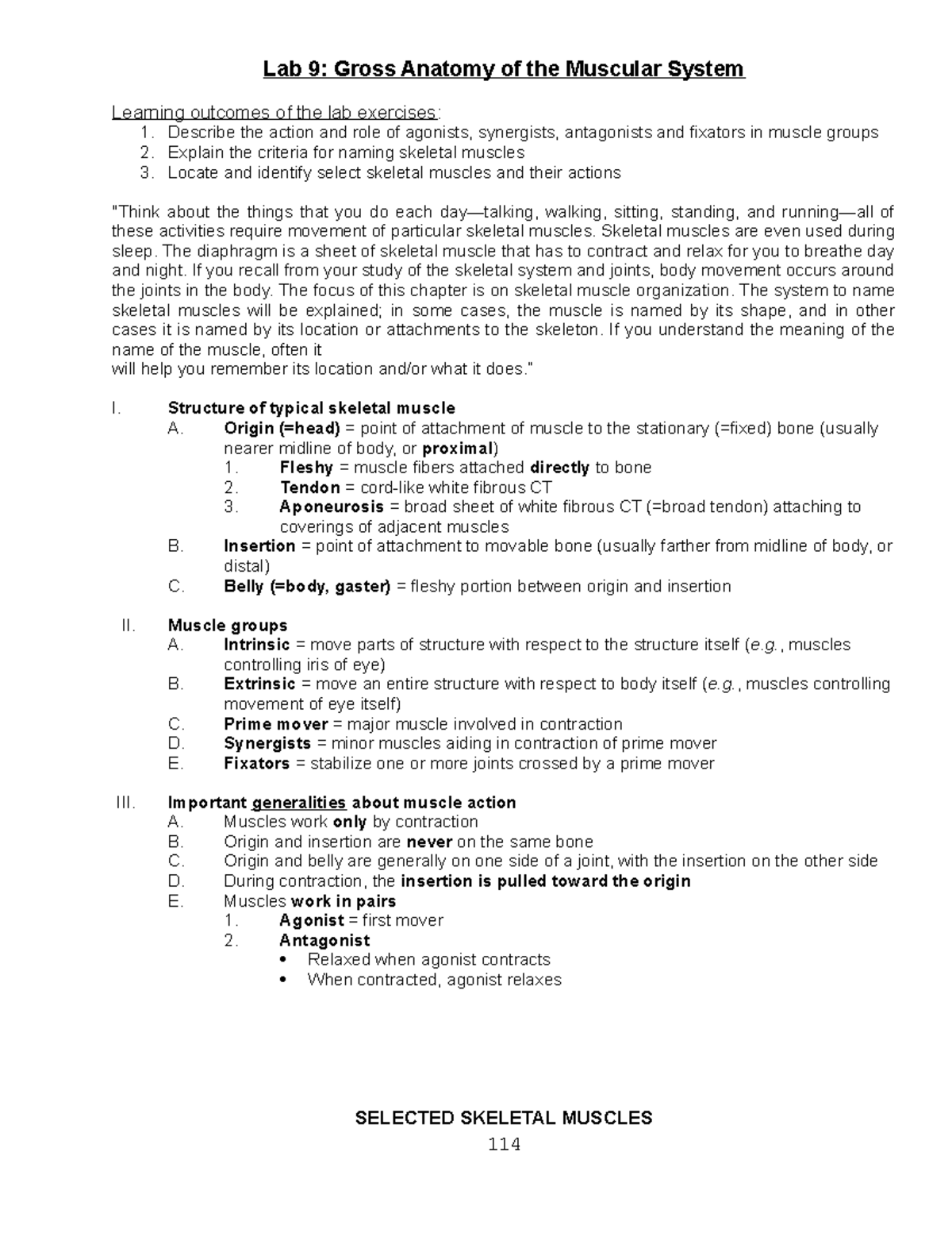 AP1 Lab9 Gross Anatomy of Muscular System FA2020 - Lab 9: Gross Anatomy ...