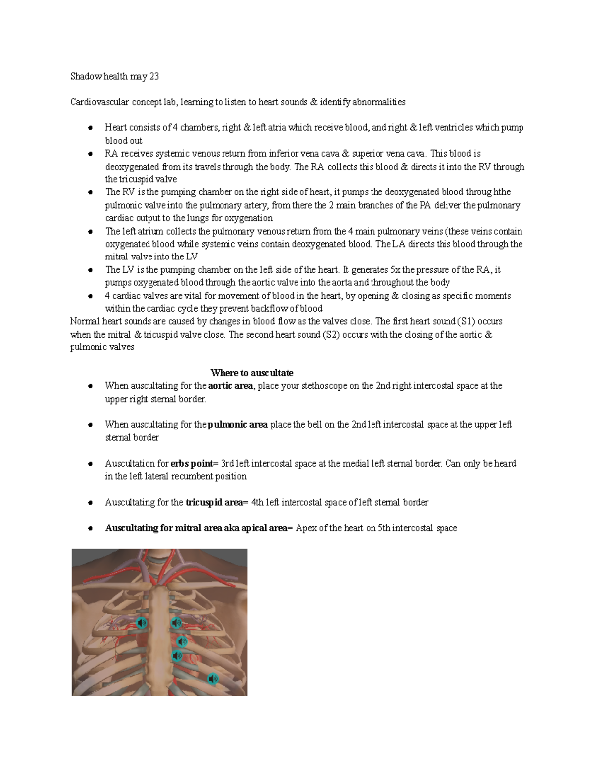 Shadow health, heart sounds part 1 - Shadow health may 23 ...