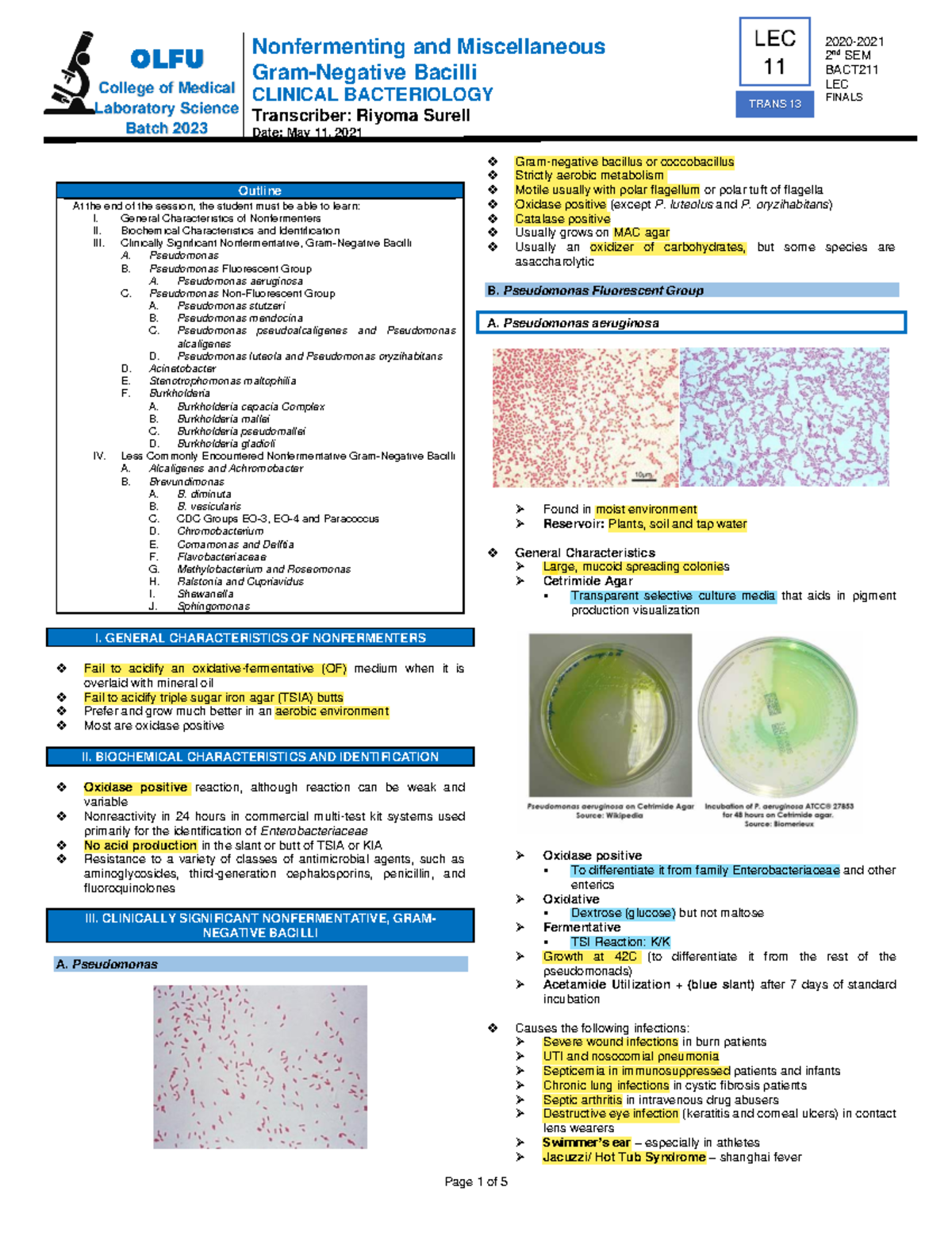 BACT LEC 13 Trans - Nonfermenting and Miscellaneous Gram-Negative ...