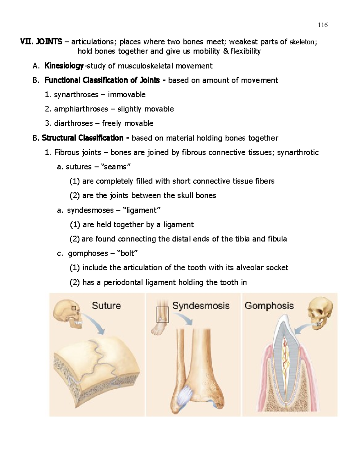 BIO 201 teacher notes 9 pages 116-126 joints - VII. JOINTS ...