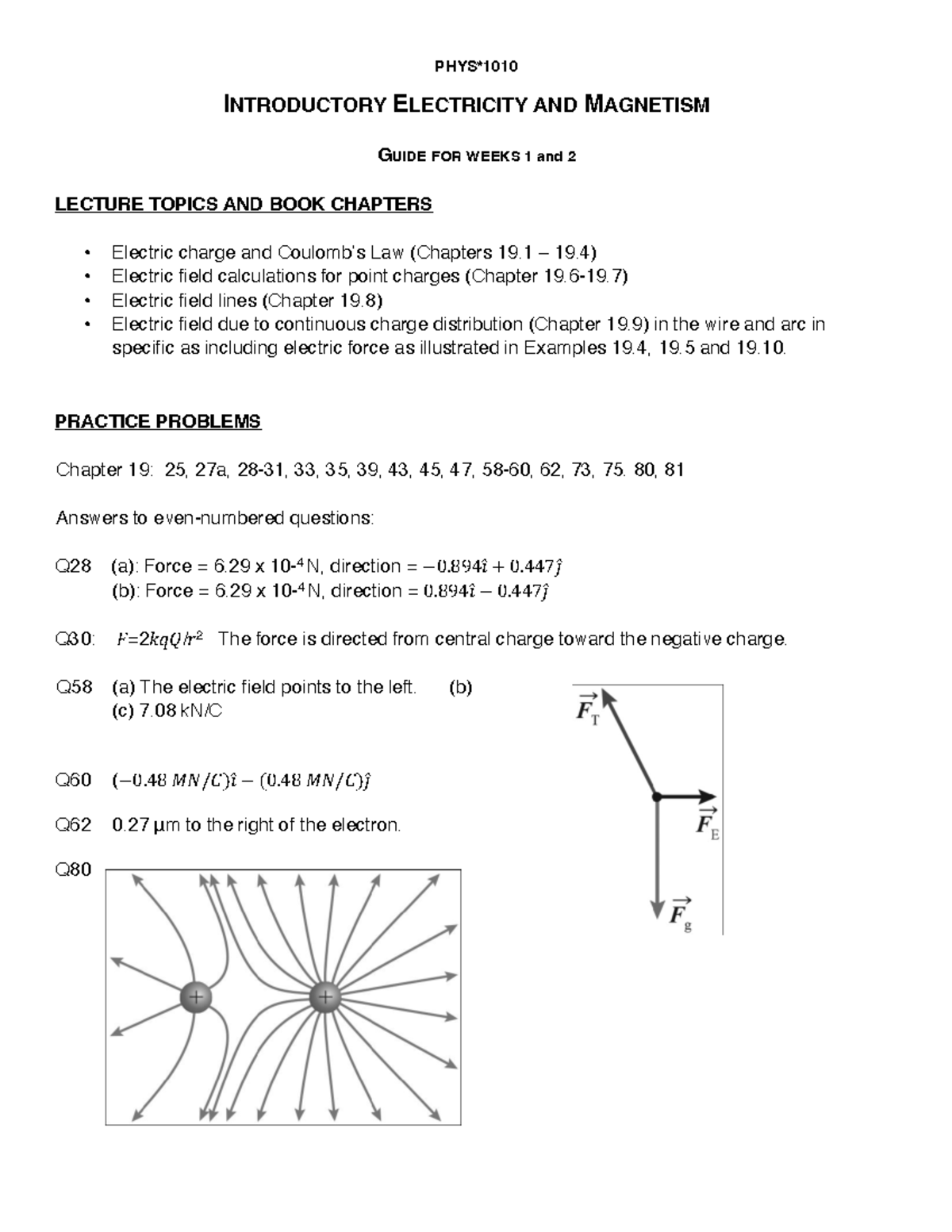 PHYS1010 PP W1W2 - worksheet - PHYS* INTRODUCTORY ELECTRICITY AND MAGNETISM GUIDE FOR WEEKS 1 ...