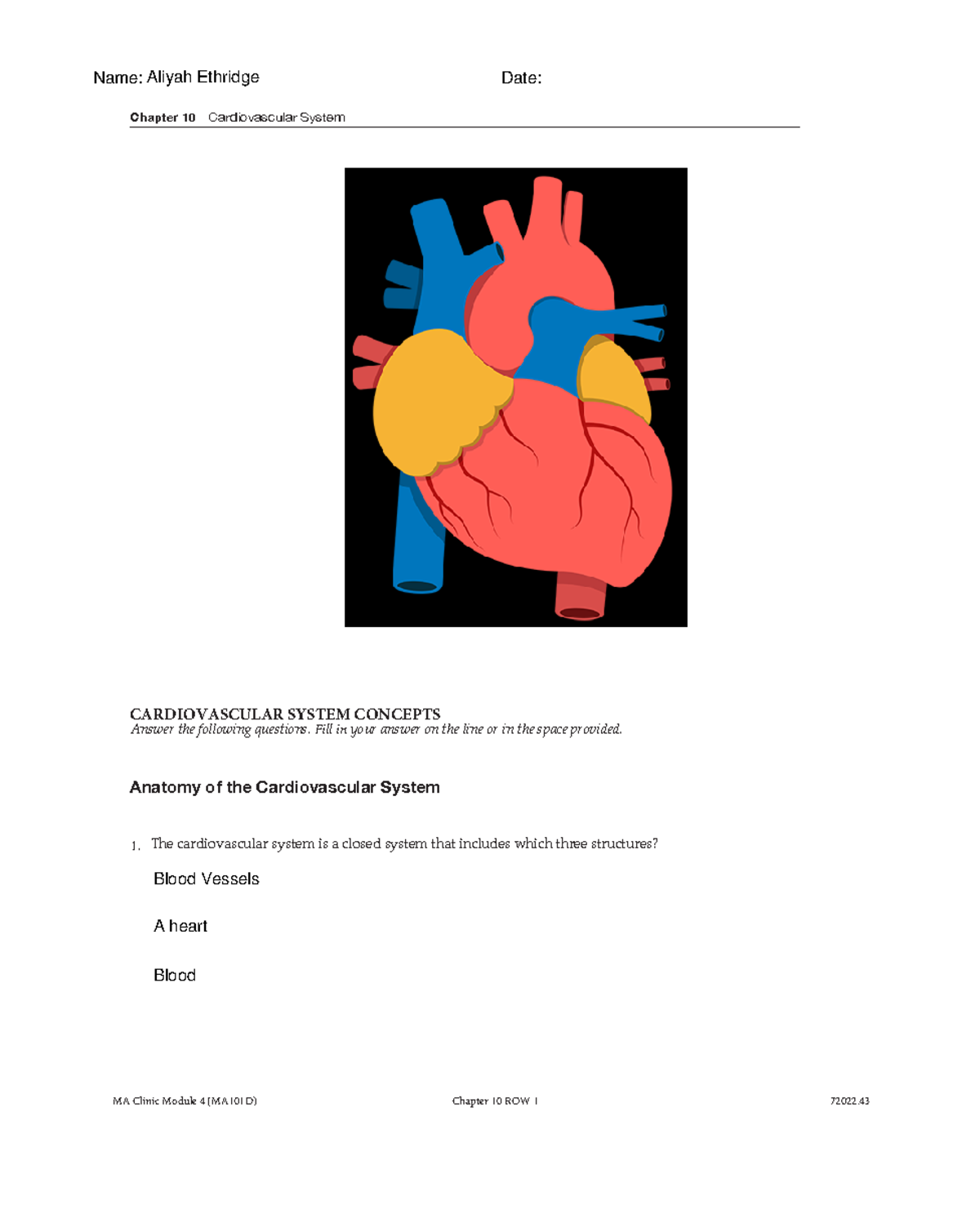 MA101 D ROW 1 Chapter 10 11 - CARDIOVASCULAR SYSTEM CONCEPTS Answer the ...