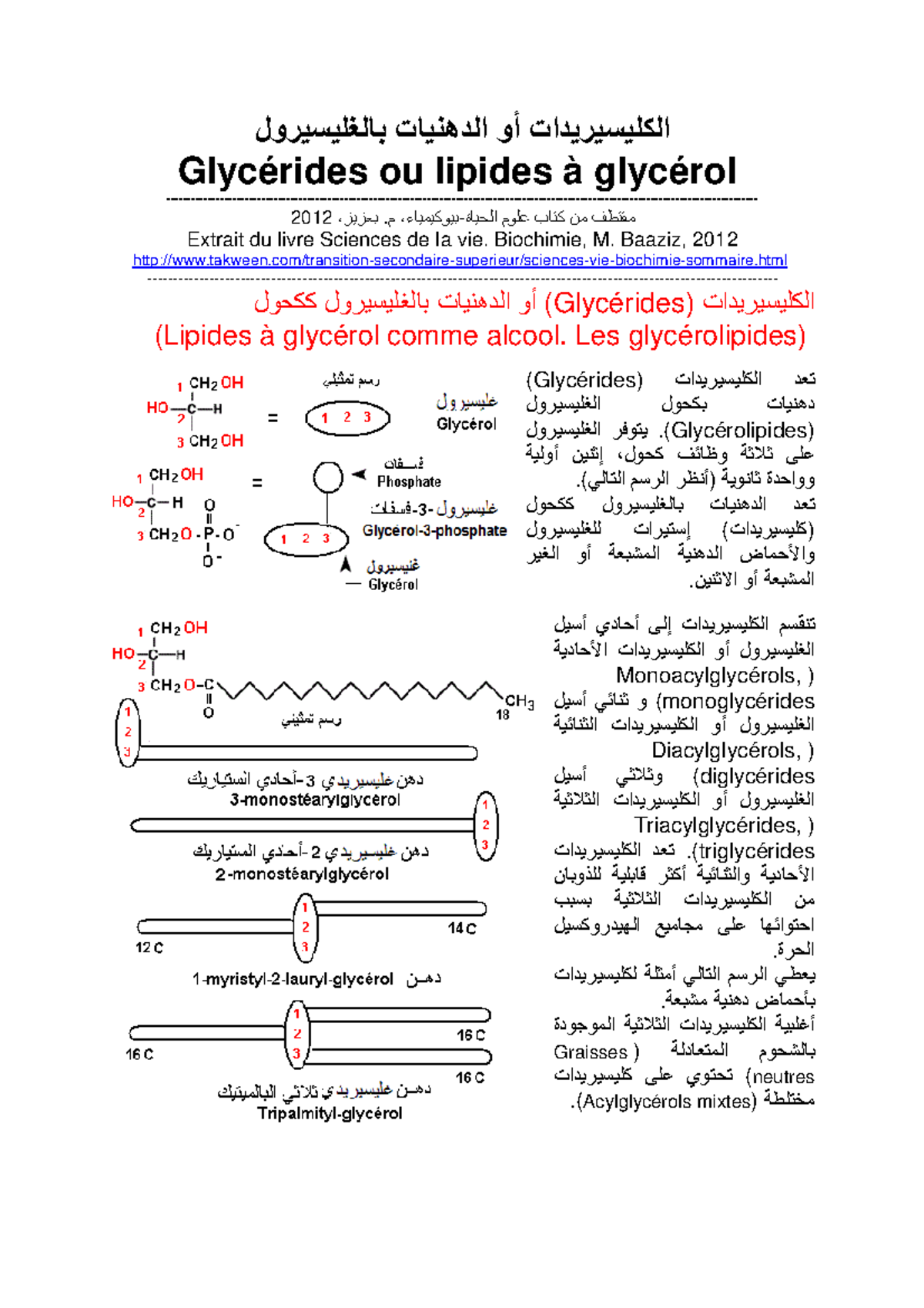 Glycerides - cours resumé biochimie structurale - رول ا ر دات أو ا دھ ت ...