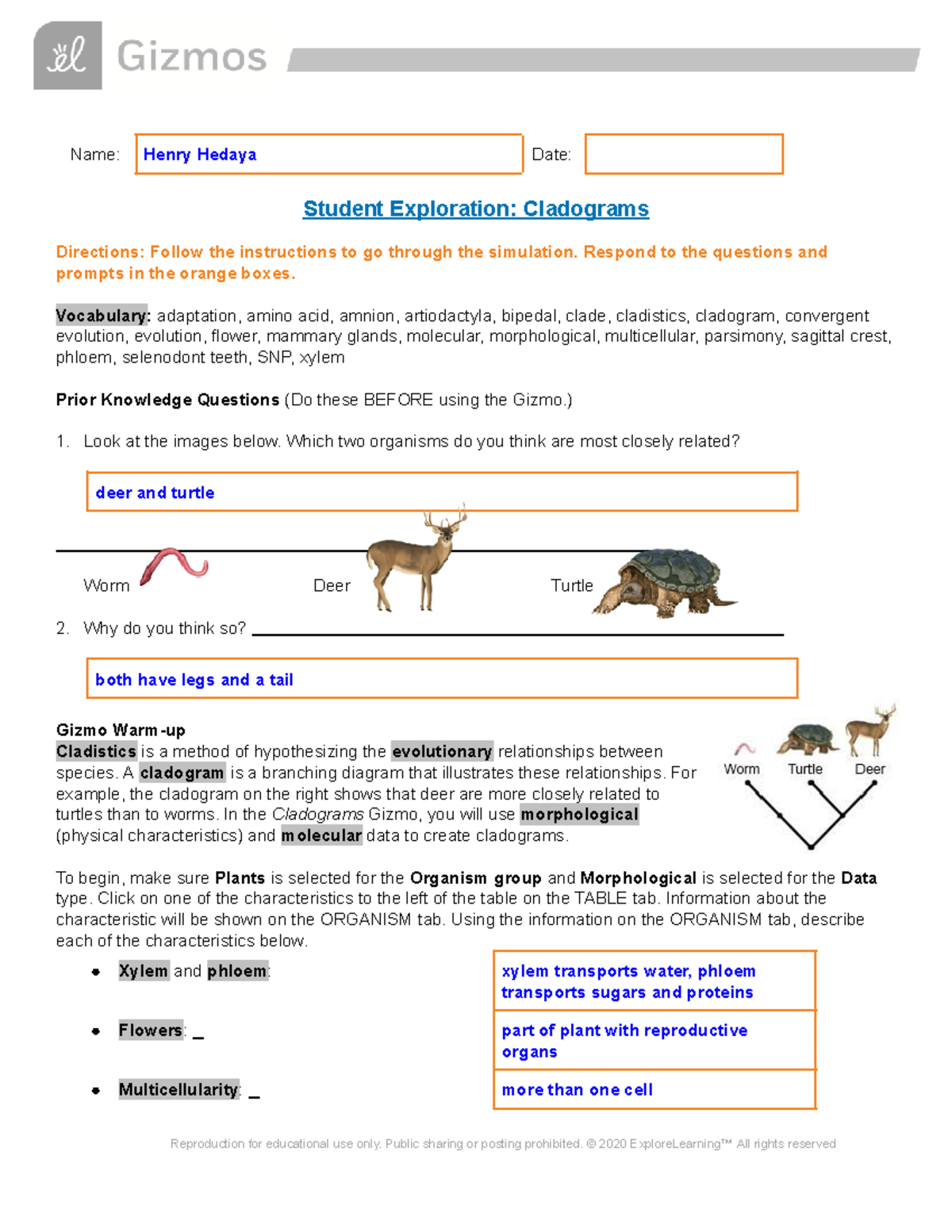 Cladograms Gizmo Answers - Name: Henry Hedaya Date: Student Exploration: Cladograms Directions ...