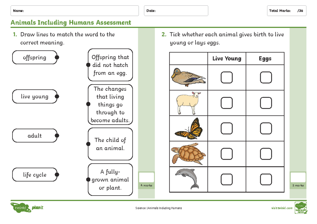 Year 2 assessment 1 - about year 2 cambridge science - Name: Date ...