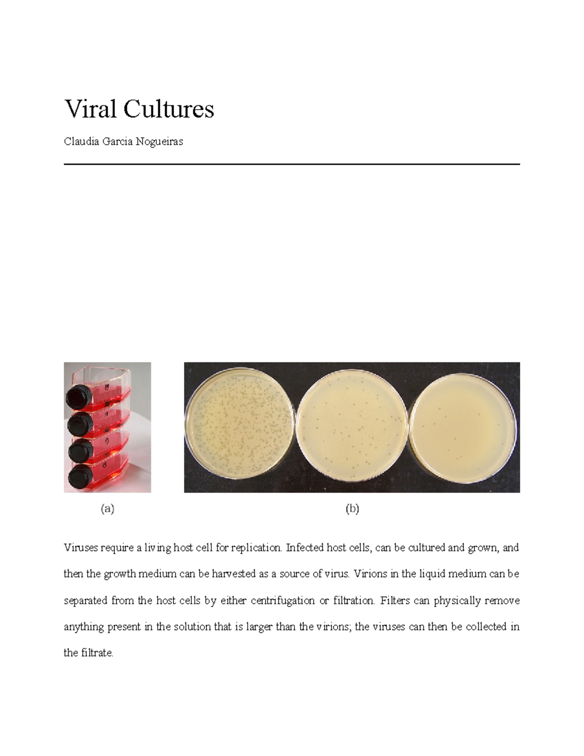 Viral Cultures - Viral Cultures Claudia Garcia Nogueiras Viruses ...