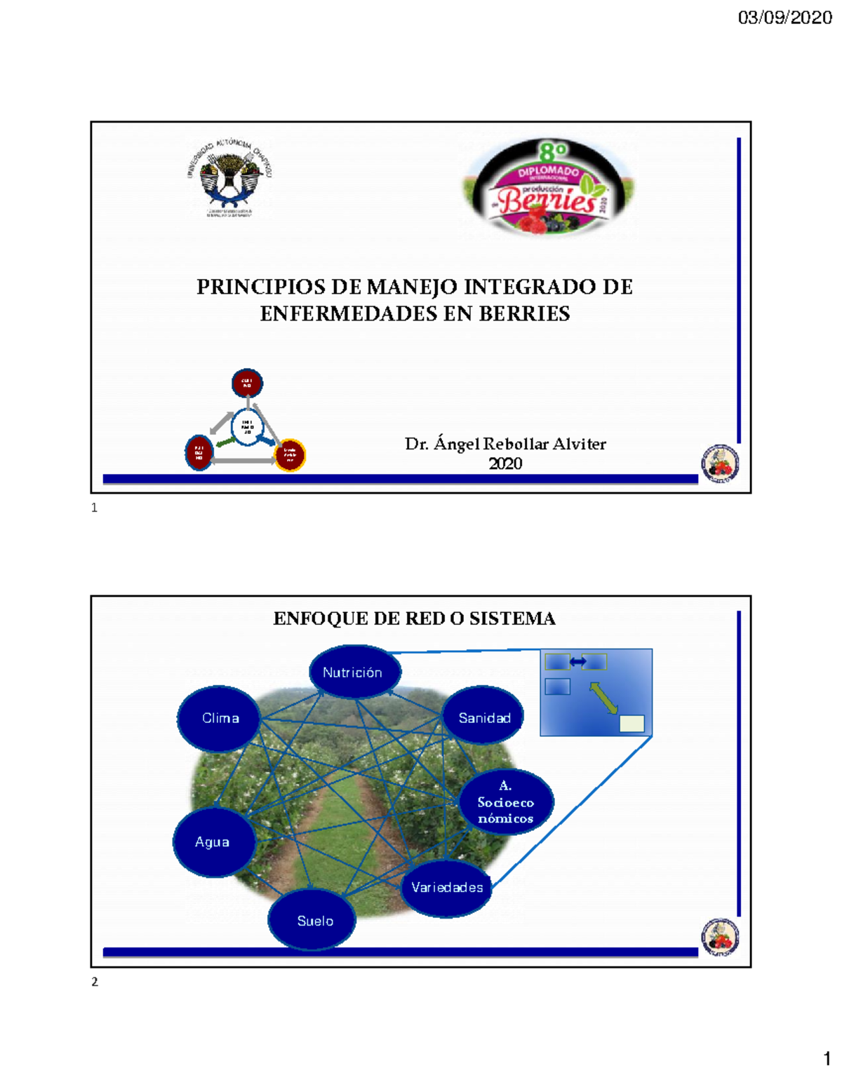 Principios ME 20 - Manejo de enfermedades - Dr. Ángel Rebollar Alviter ...
