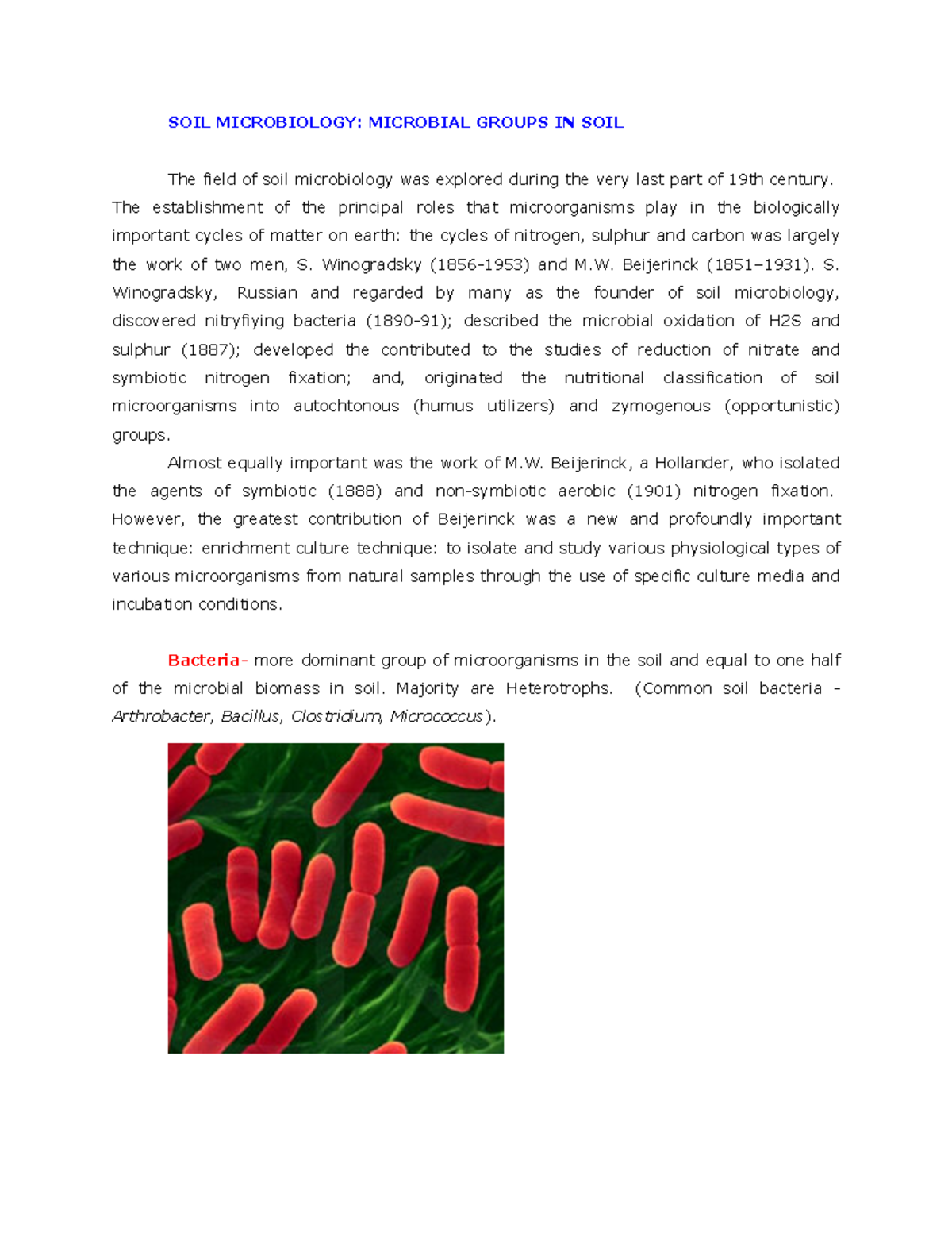 Microbiology notes 20 - SOIL MICROBIOLOGY: MICROBIAL GROUPS IN SOIL The ...