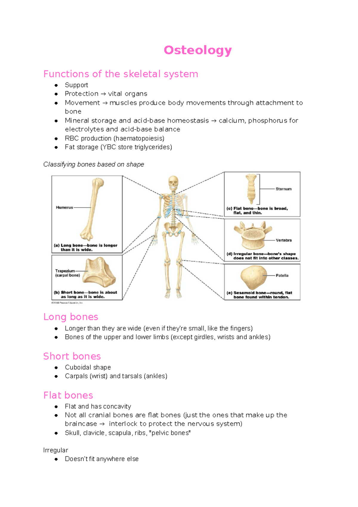 Osteology - oestology anatomy - Osteology Functions of the skeletal ...