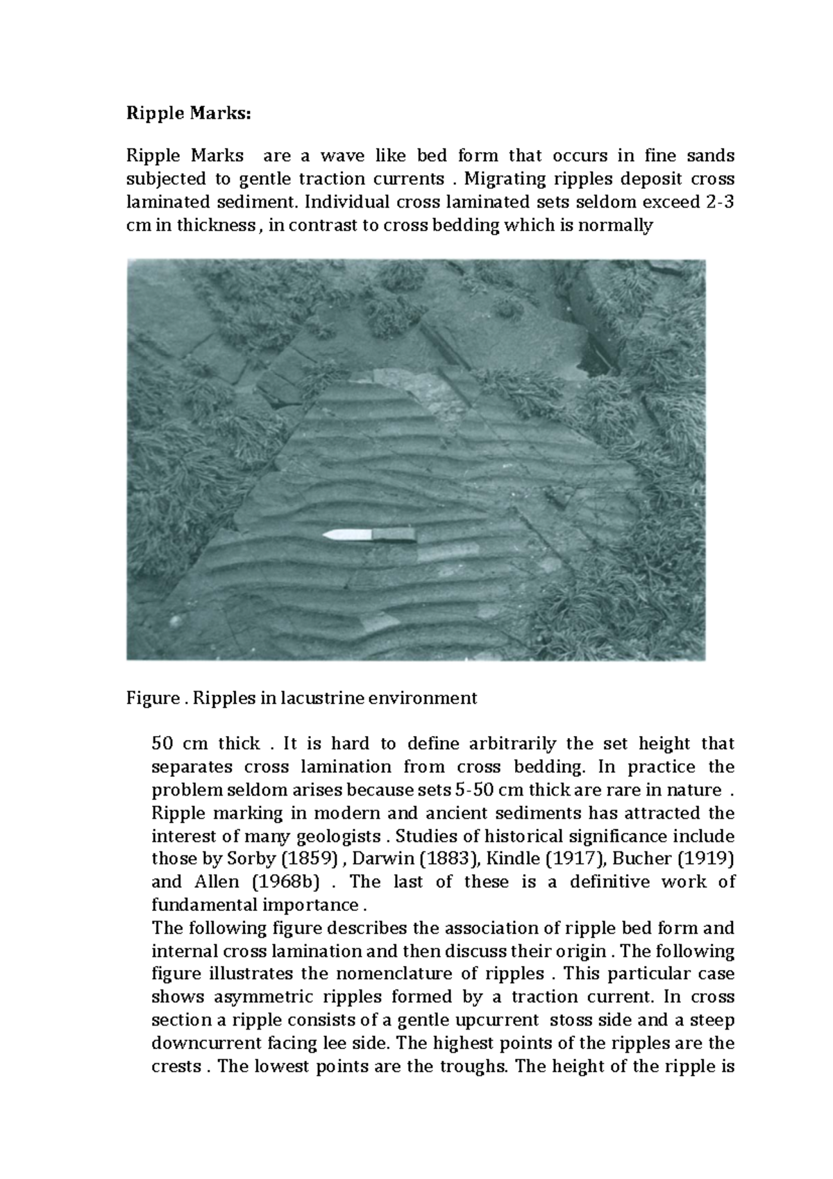 Ripple Marks - Ripple Marks: Ripple Marks are a wave like bed form that ...