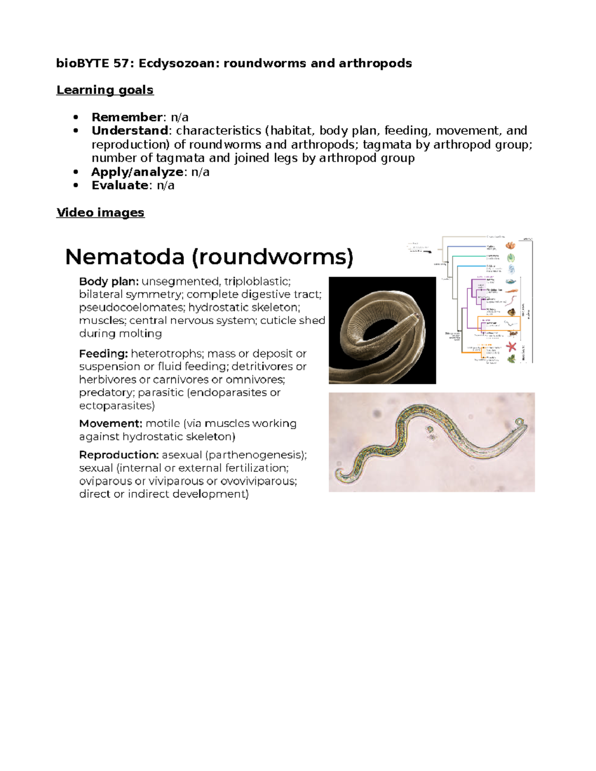 1802.Notes guide.bio BYTE 57 - bioBYTE 57: Ecdysozoan: roundworms and ...