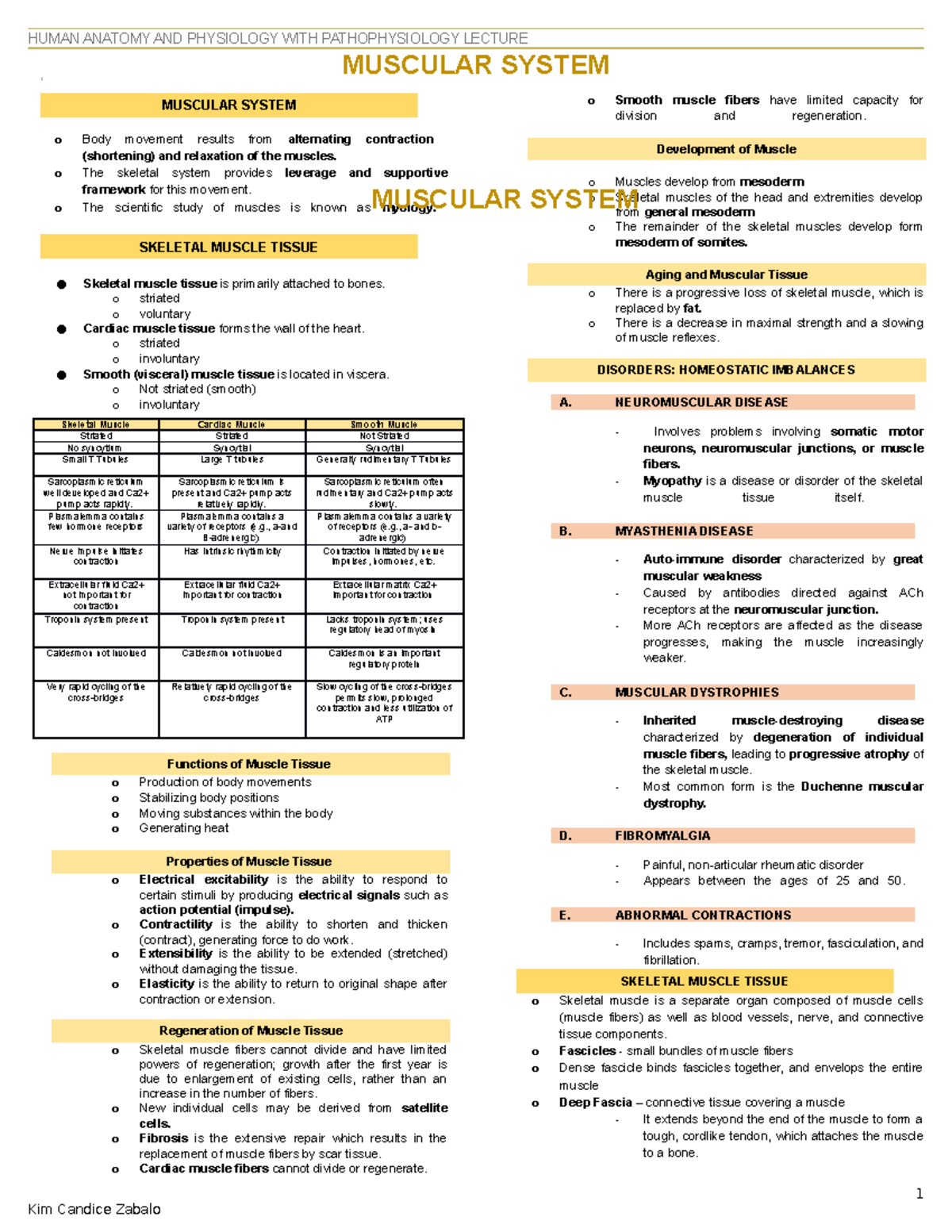 Anaphy Muscular - HUMAN ANATOMY AND PHYSIOLOGY WITH PATHOPHYSIOLOGY ...