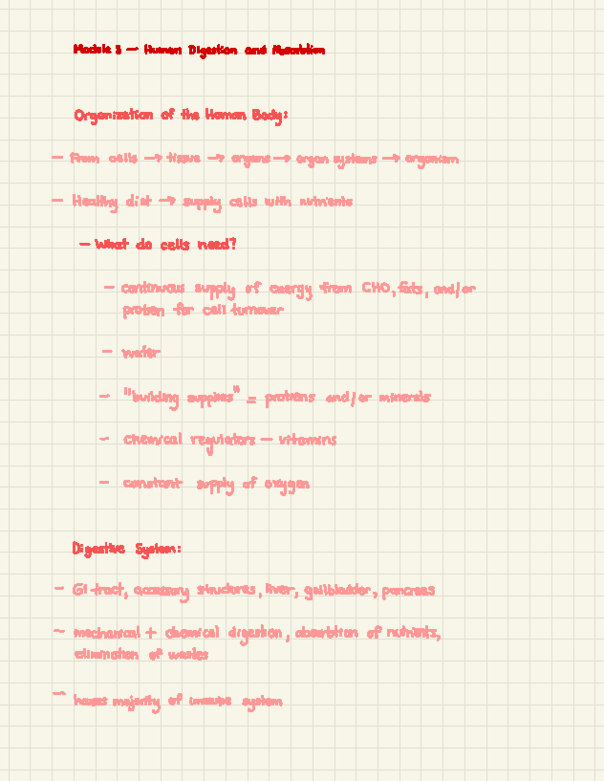 Module 3- Human Digestion And Absorption - Module 3 Human Digestion ...