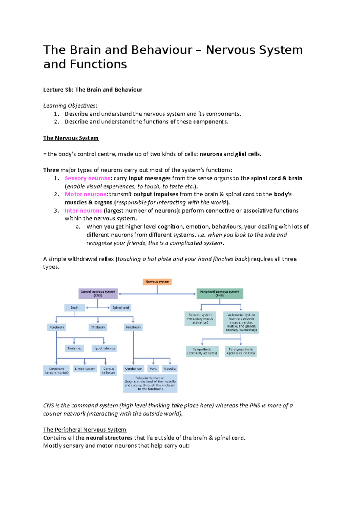 Nervous Systems and Functions - The Brain and Behaviour – Nervous System and Functions Lecture ...