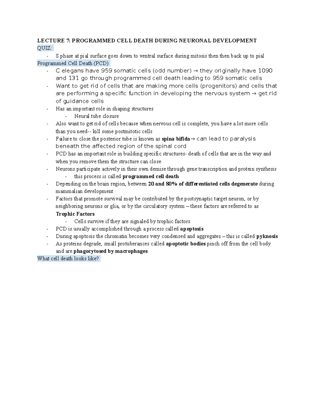 Dn Lecture 7 Programmed Cell Death Notes Lecture 7 Programmed Cell Death During Neuronal