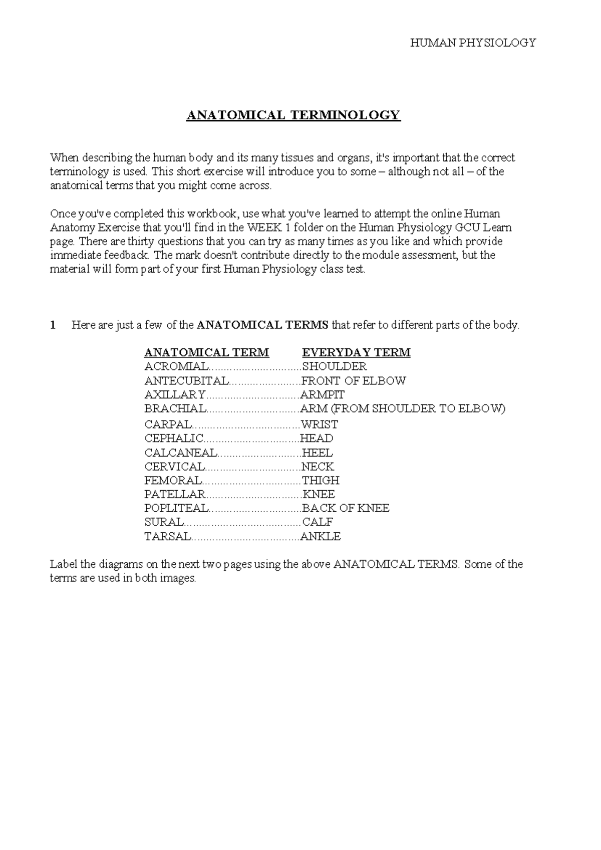 UTF-8'' Human Anatomy Workbook - HUMAN PHYSIOLOGY ANATOMICAL ...