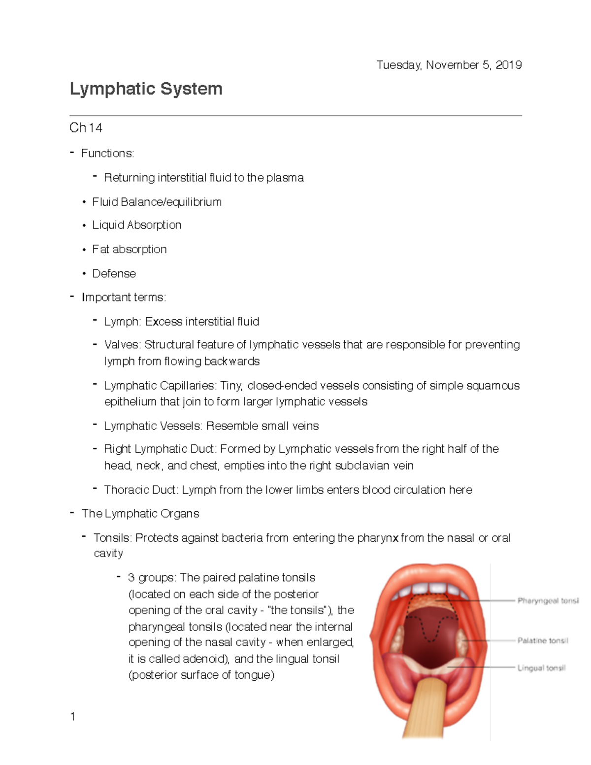 Lymphatic Notes - Tuesday, November 5, 2019 Lymphatic System Ch ...