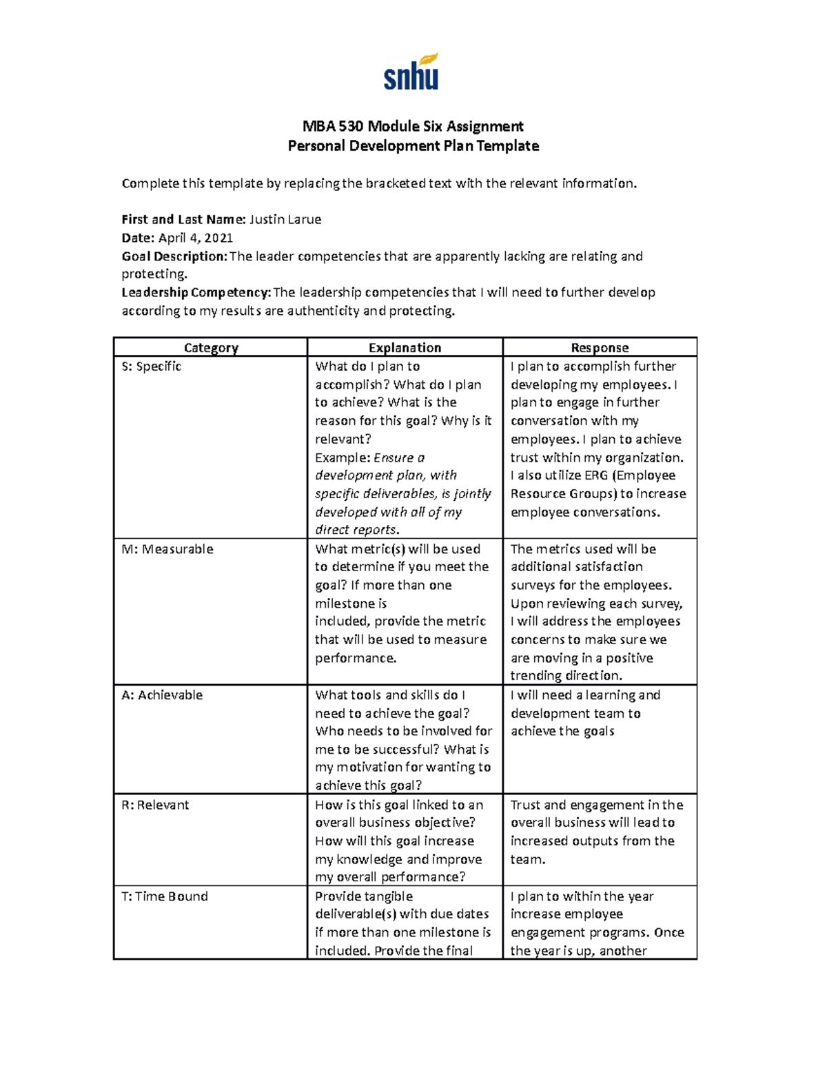 MBA 530 Module Six Assignment Template - MBA 530 Module Six Assignment ...