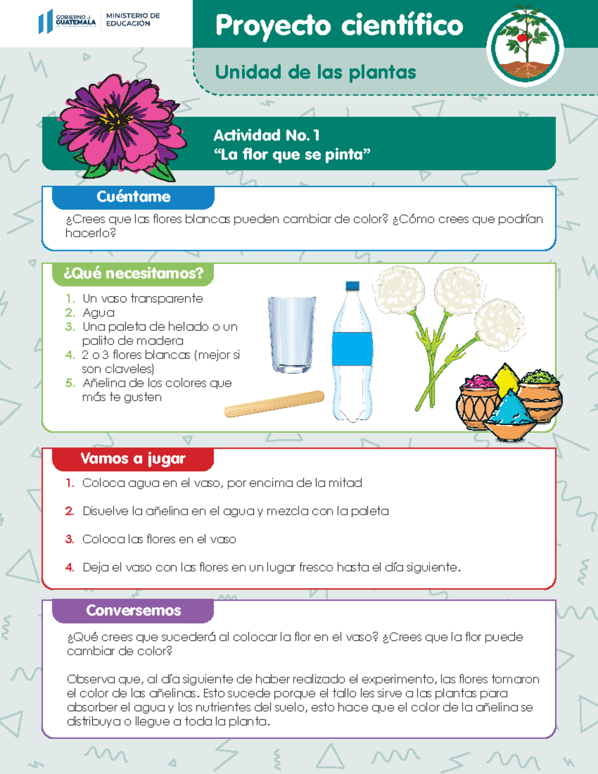 Proyecto plantas - Proyecto científico Unidad de las plantas Actividad ...