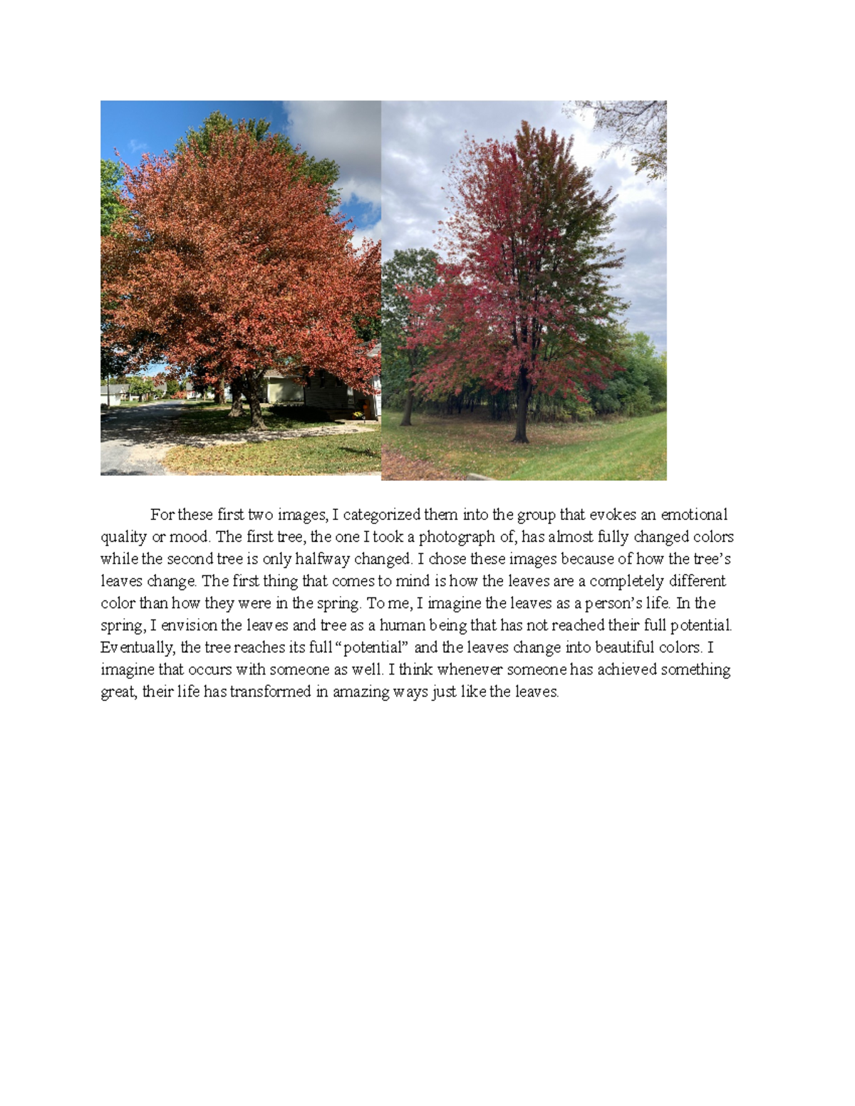 Tree Comparisons - homework about trees - For these first two images, I ...