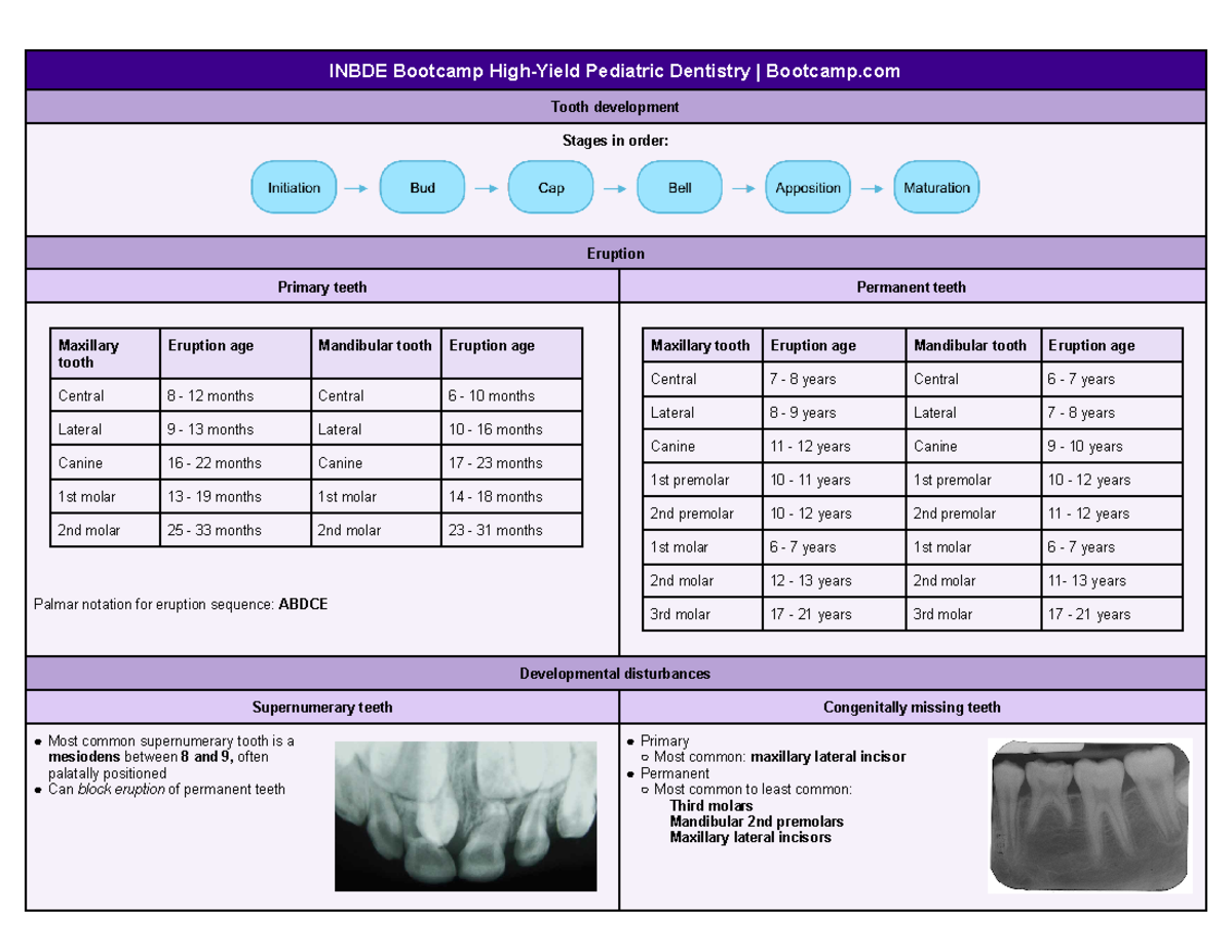 Inbde High-Yield Pediatric Dentistry - Tooth development Stages in ...