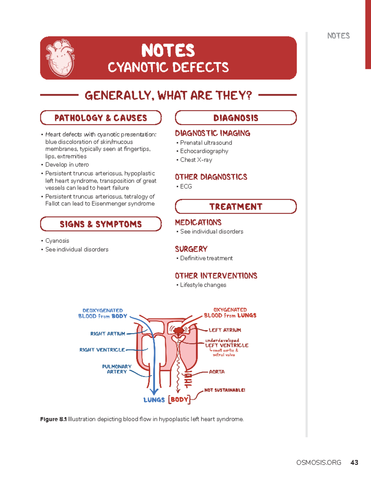 Cyanotic defects - cardiovascular course - NOTES GENERALLY, WHAT ARE ...