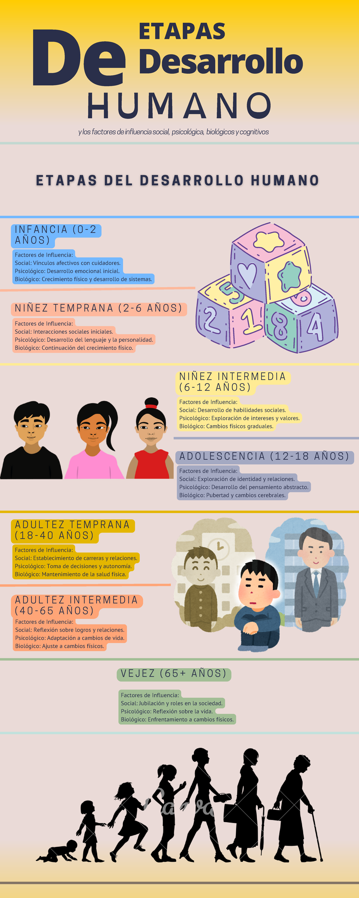 Infografia de las etapas del desarrollo humano - De ETAPAS Desarrollo H U M A N O y los factores ...