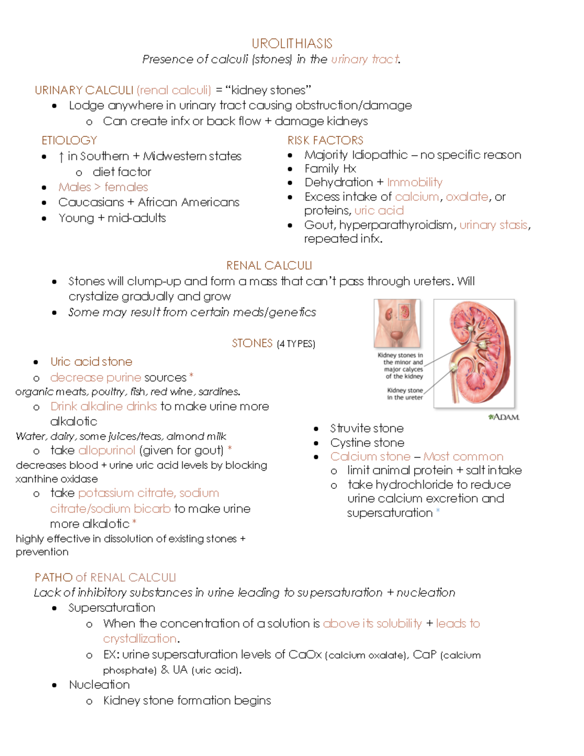 Urolithiasis and Kidney Stones study guide - UROLITHIASIS Presence of ...