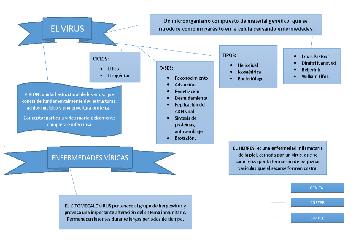 Virus esquema r3sumen - VIRIÓN: unidad estructural de los virus, que ...