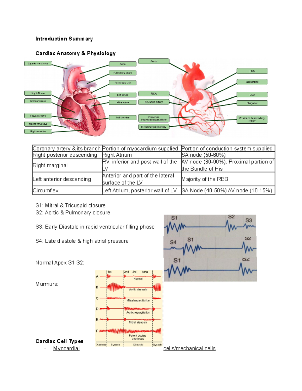 ECG Introduction Summary - Introduction Summary Cardiac Anatomy ...