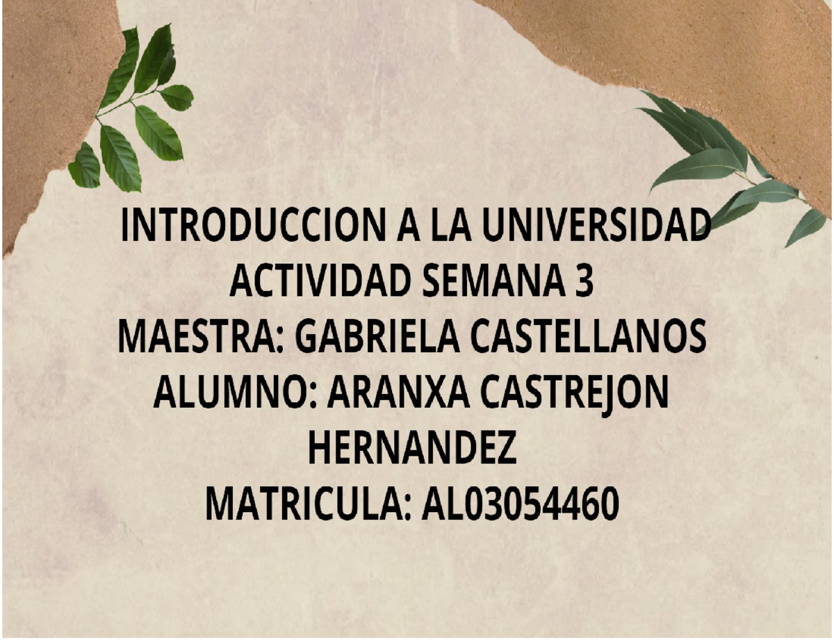 ACT 3 - trewq - ACT 1 ¿En qué eres realmente bueno?, ¿qué se te da bien ...