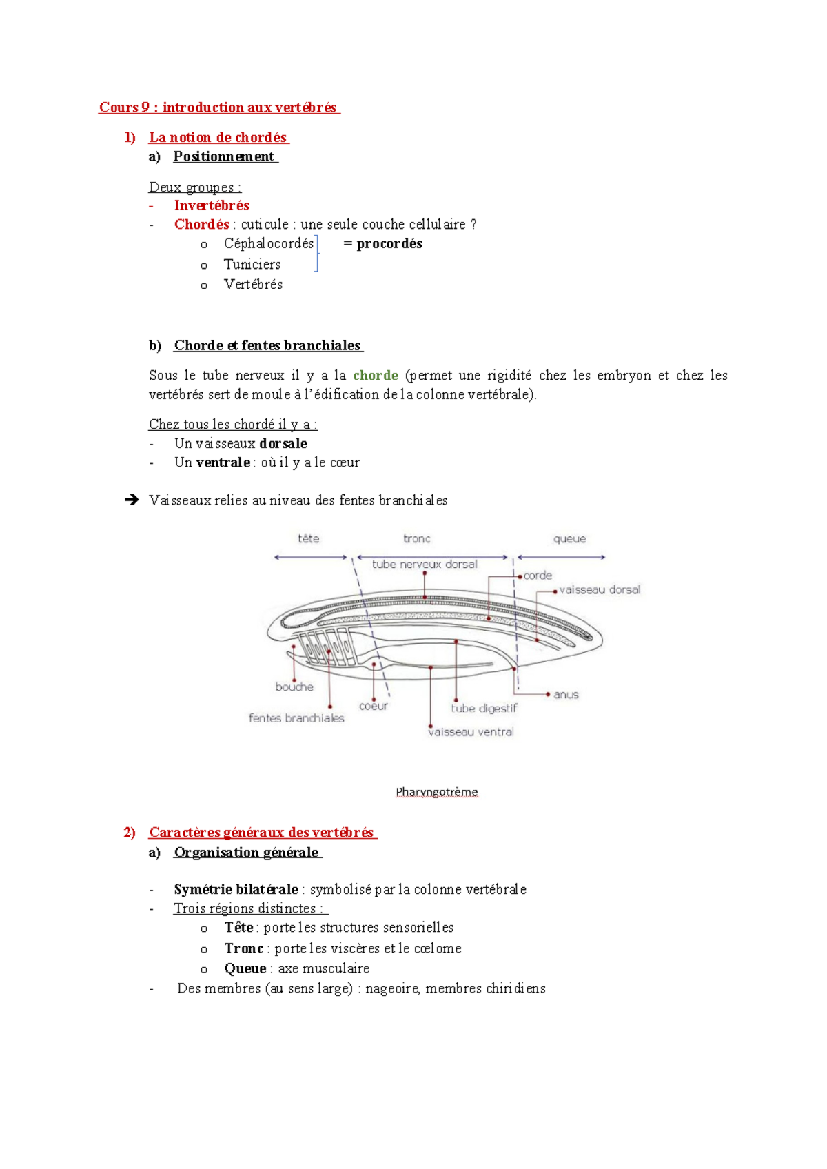 Cours 9 intro sur les vertébrés - Cours 9 : introduction aux vertébrés ...