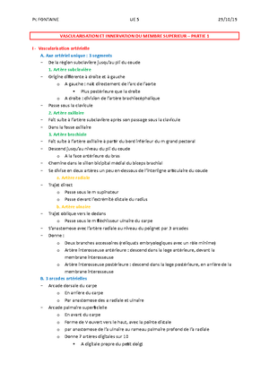 V1 App Génital Pr Drizenko - Anatomie - Studocu