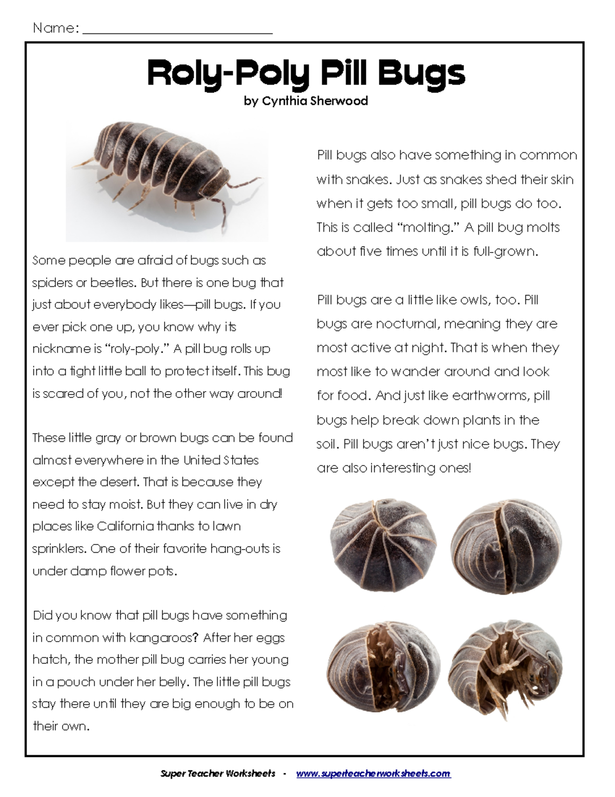 4th-pillbugs Wbdrw - material - Name: ___________________________ Roly ...